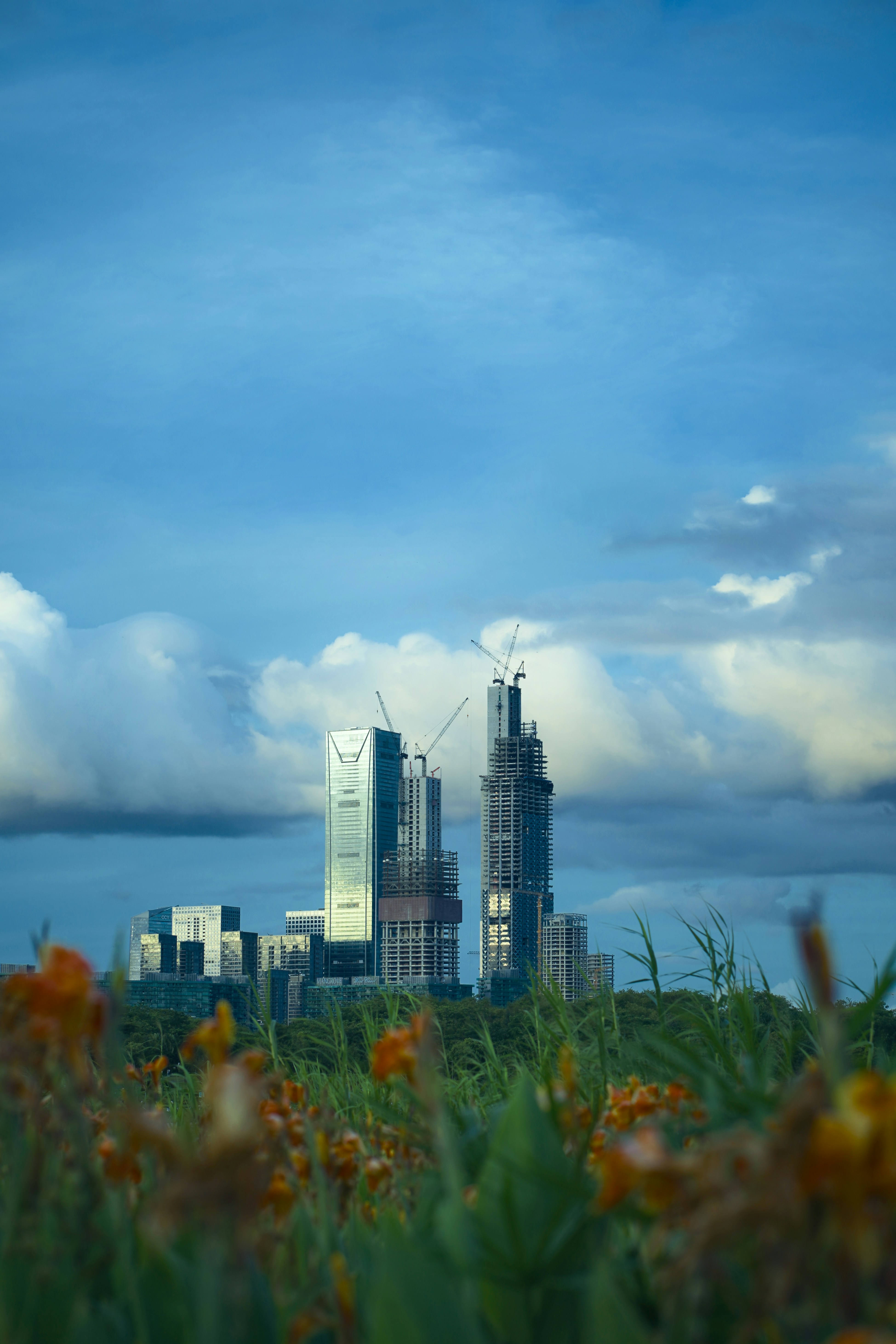 Rising Towers Beyond a Field of Autumnal Flowers