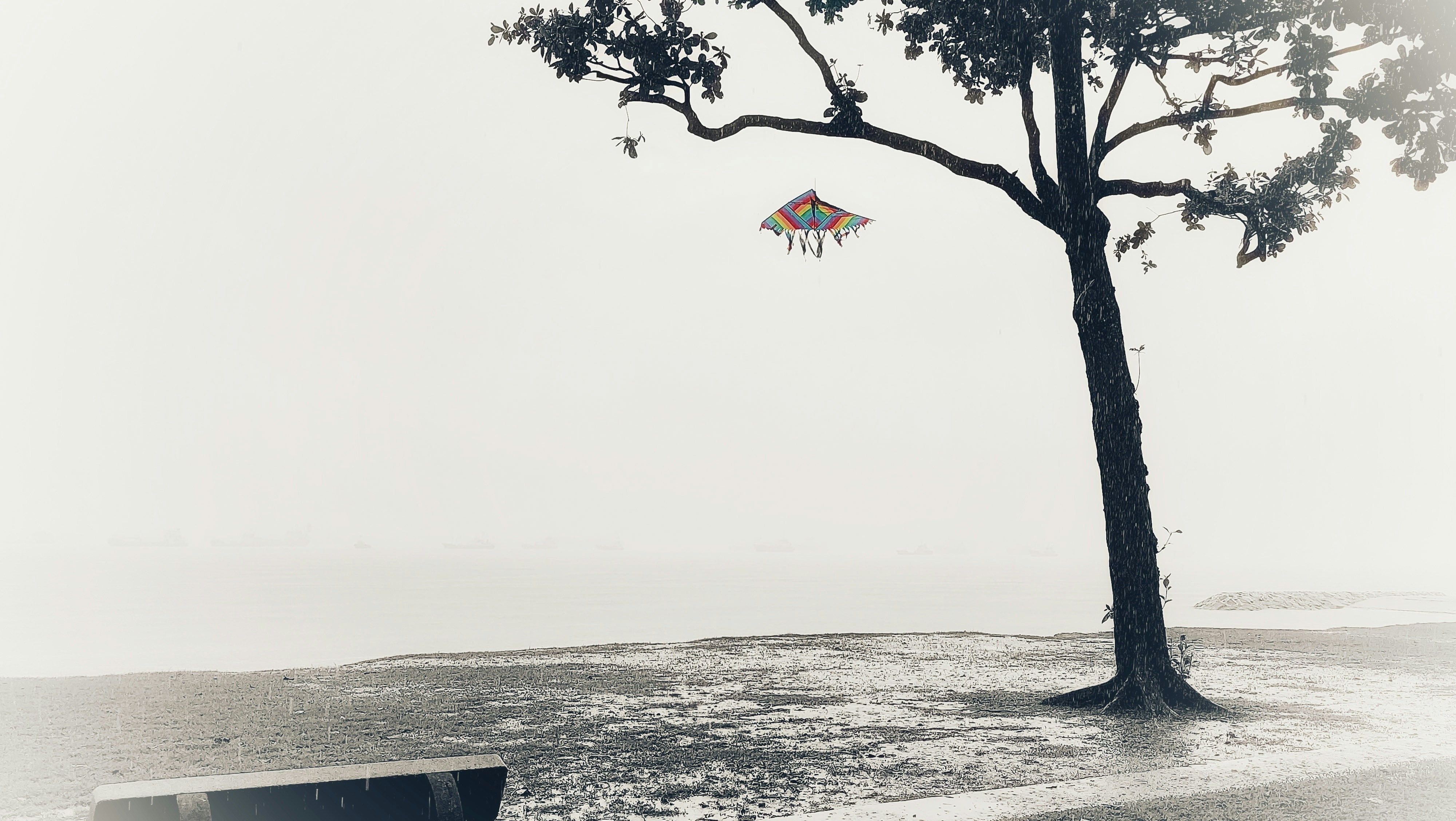 Single Kite, Quiet Shoreline: A Distant Moment of Flight