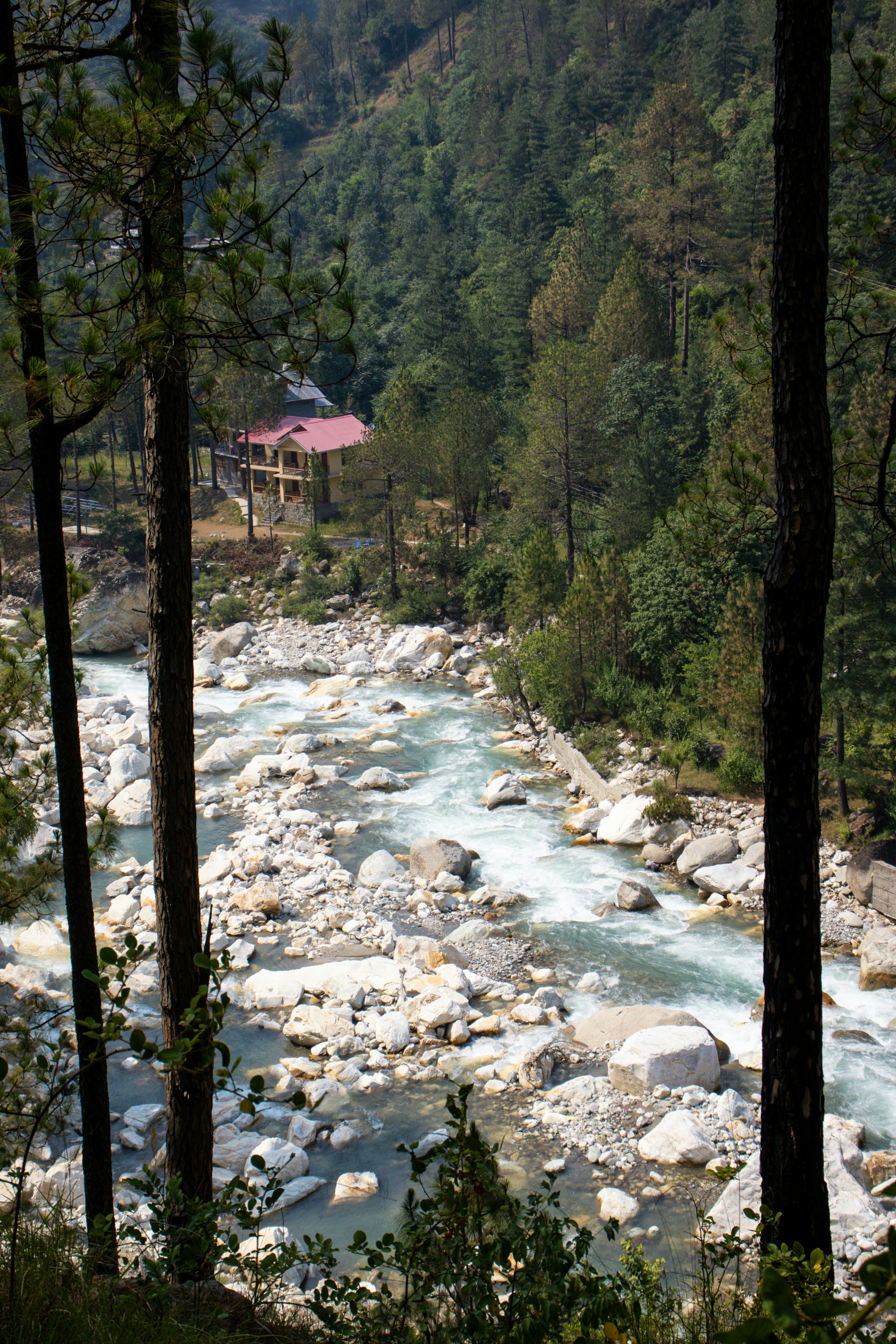 Red-Roof Refuge Beside a Turquoise River Through a Pine Forest