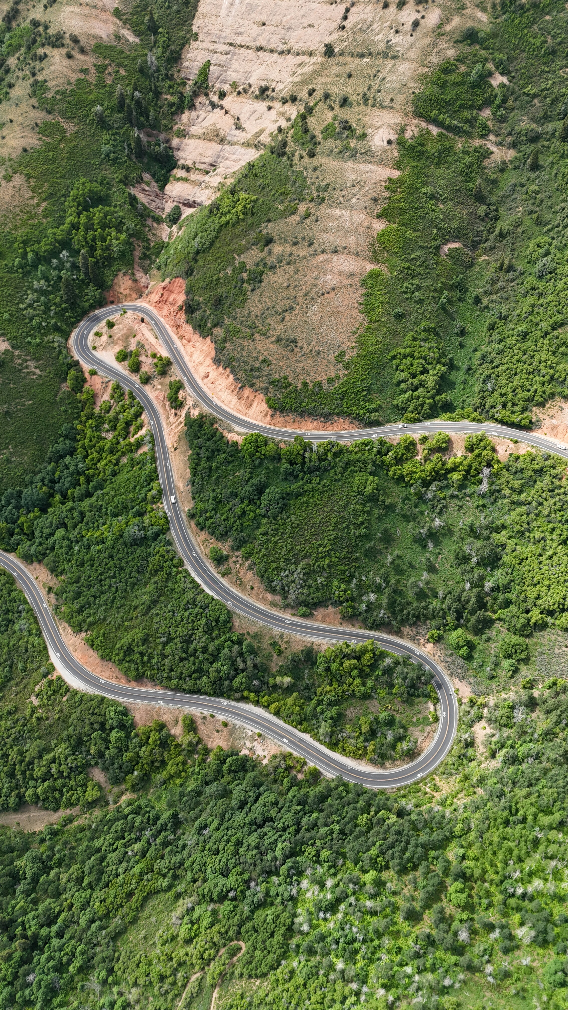 Photo by Alex Moliski with DJI Mini 4 Pro