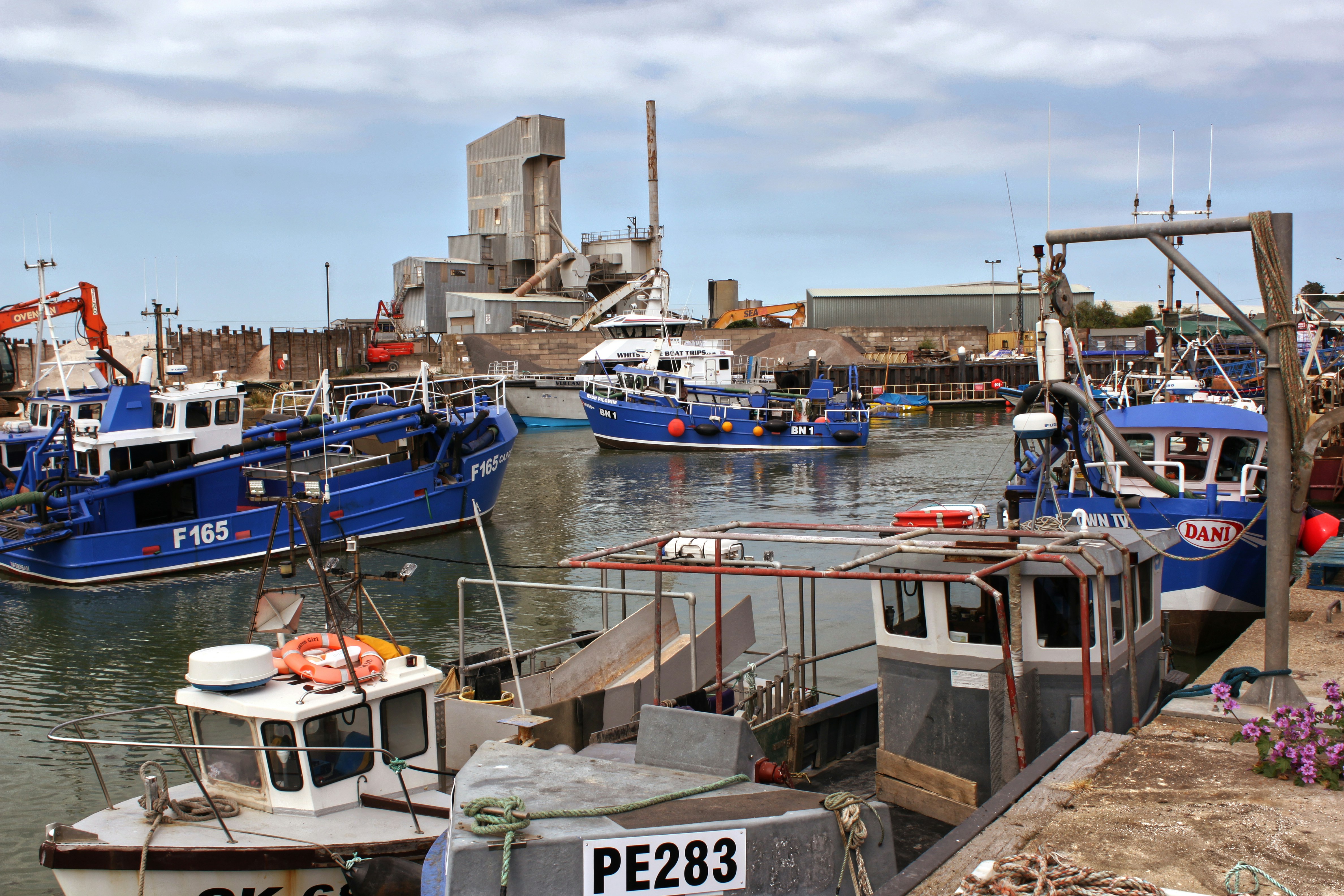 A harbor filled with lots of boats on top of water photo – Free ...