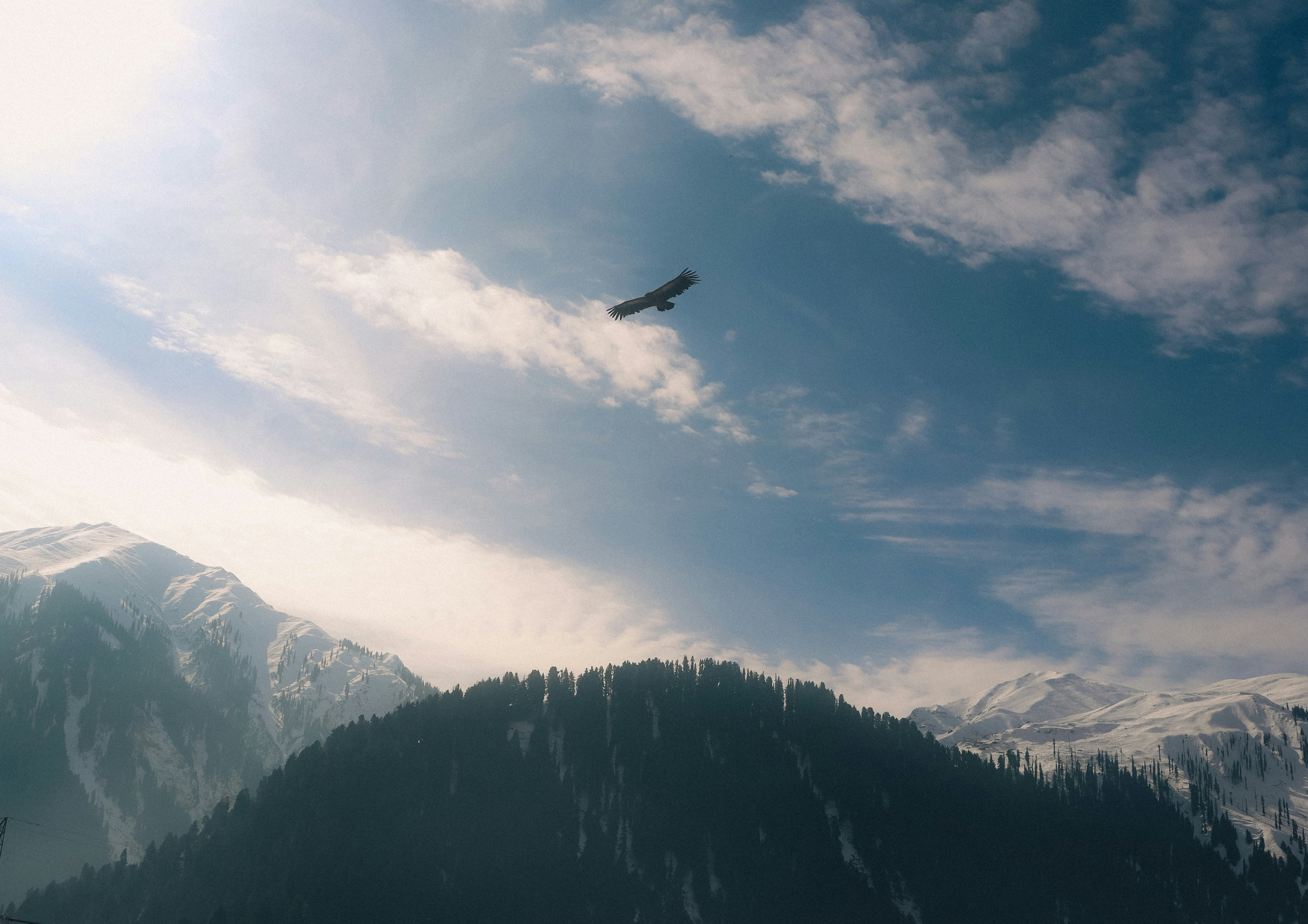 Alpine Skyflight: A lone aircraft tracing the edge of winter clouds
