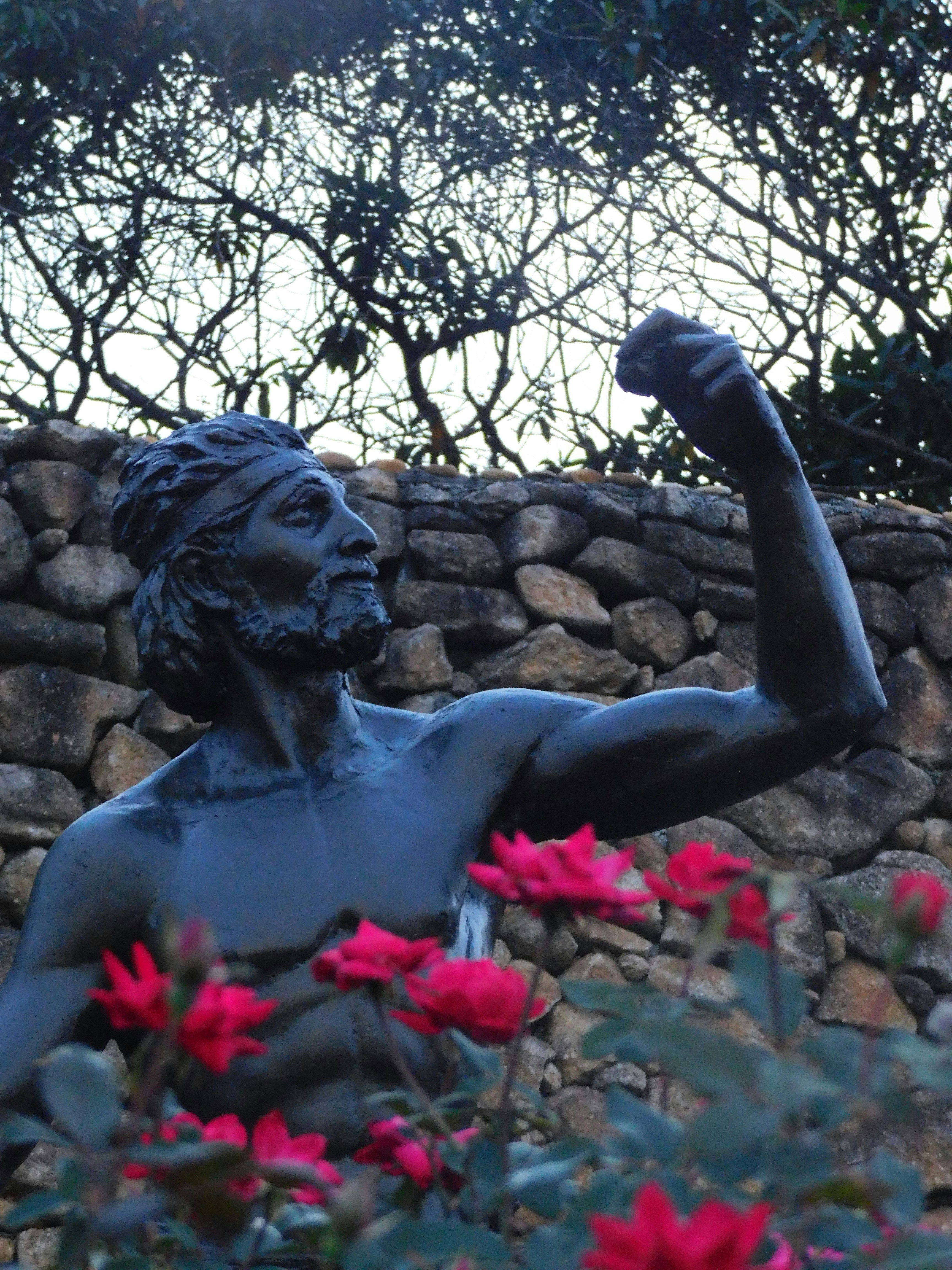 Bronze Strength Among Scarlet Blooms: A Muscular Figure Poses by the Stone Wall