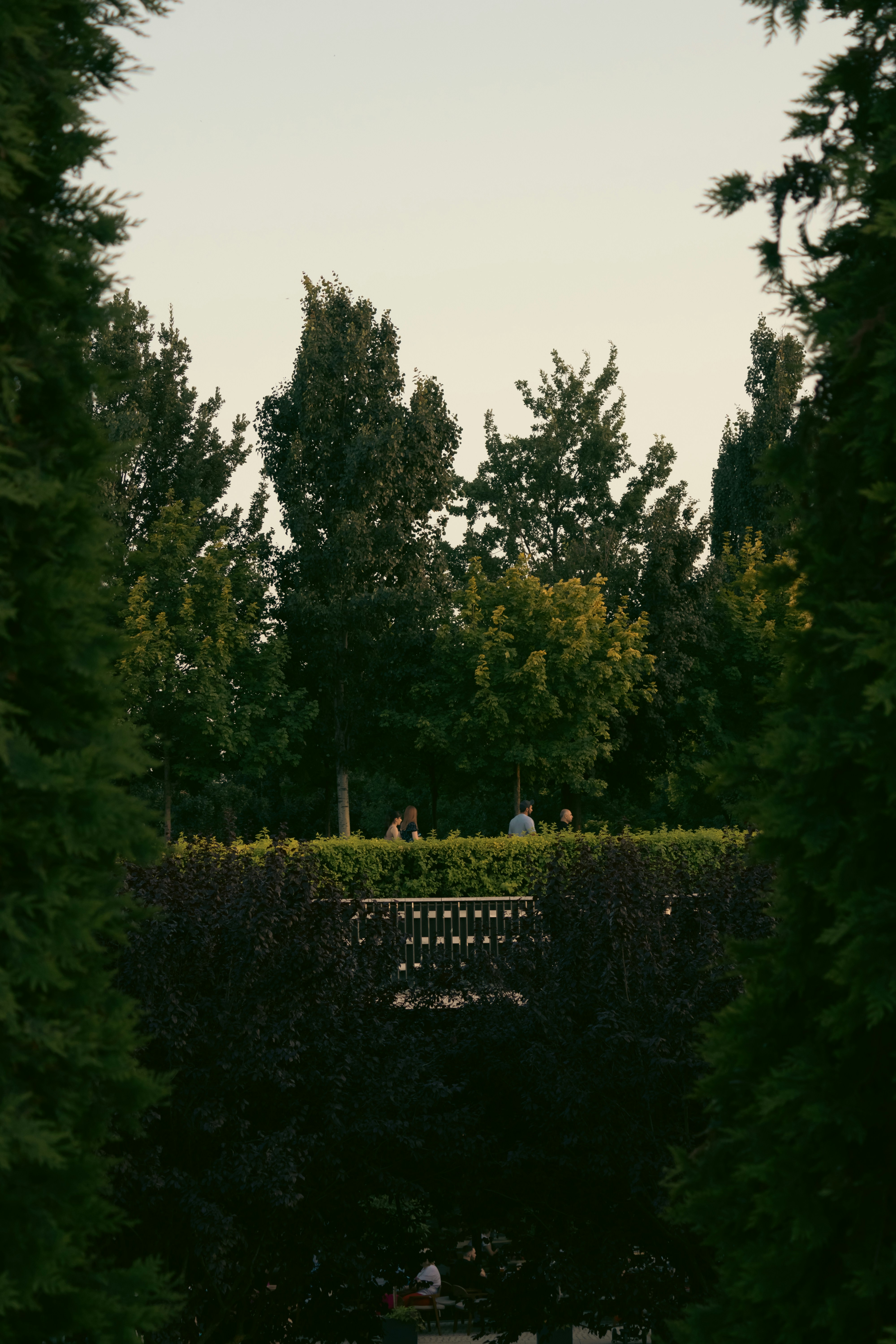 Sunlit Terrace: People in a Park Framed by Dark Foliage