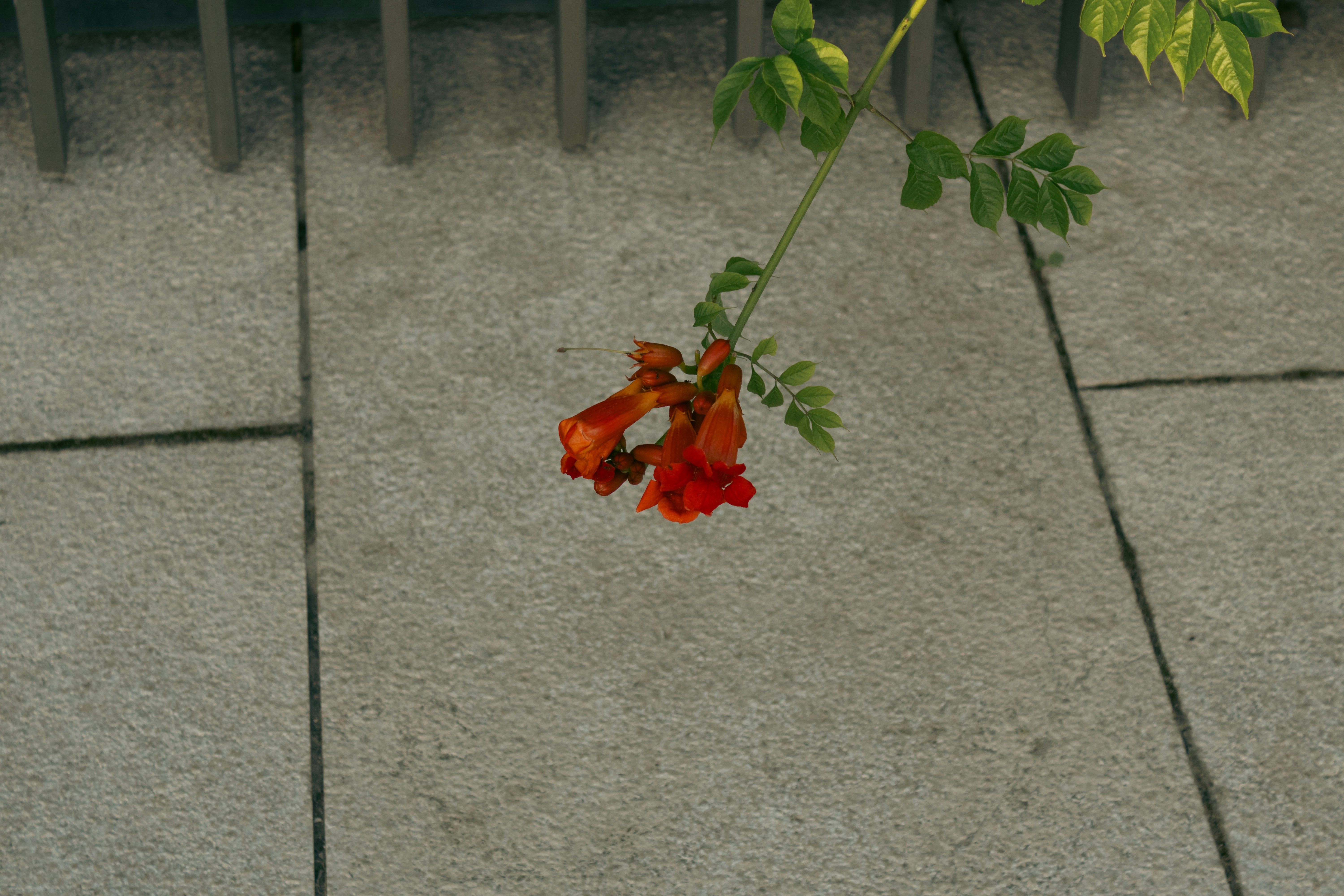 Kurt Chyllo Generosas Pictures | Download Free Images on Unsplash