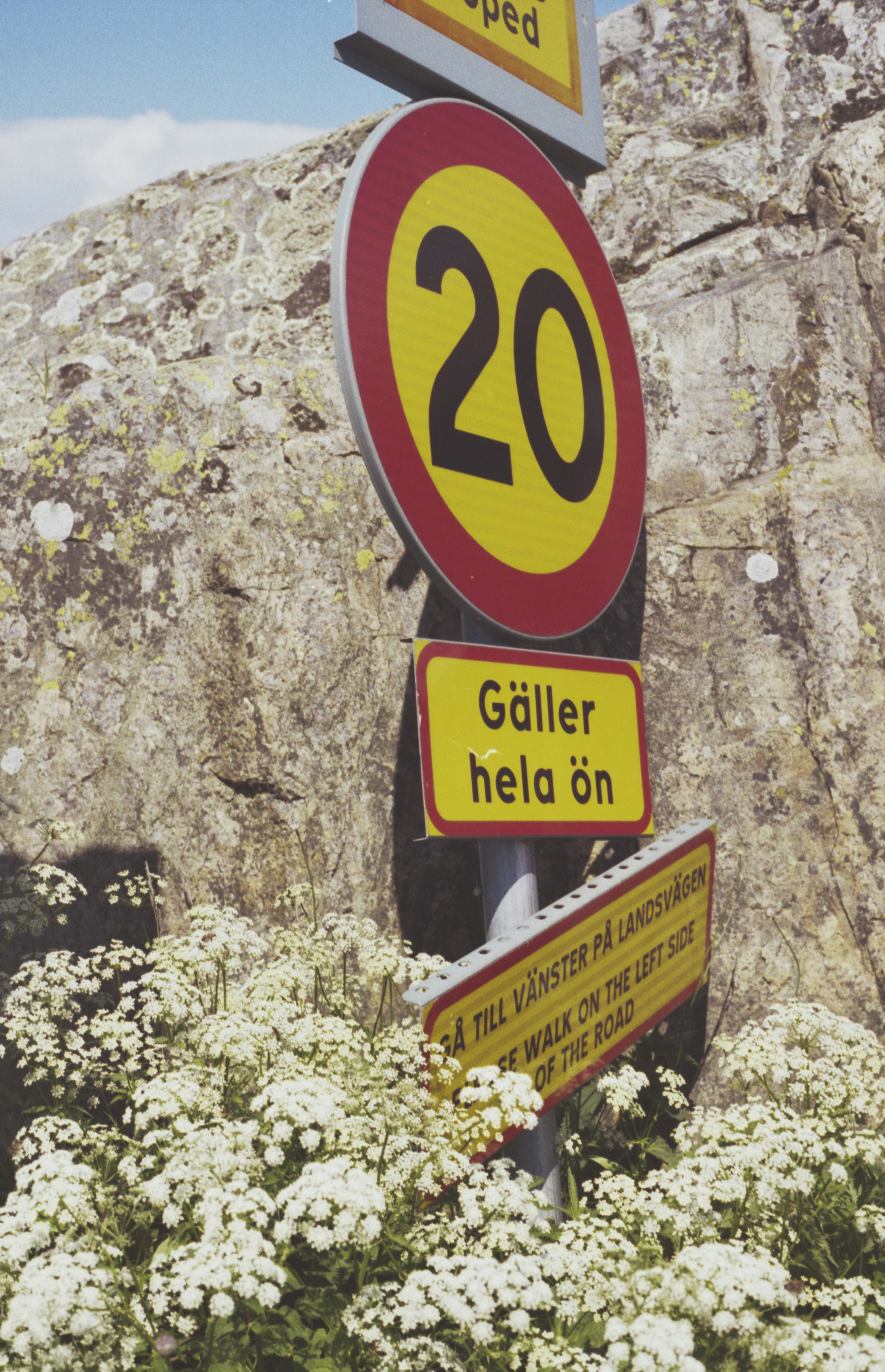 Bright roadside sign cluster amid stone wall and white wildflowers, a rustic urban detail with weathered signage and plant growth.