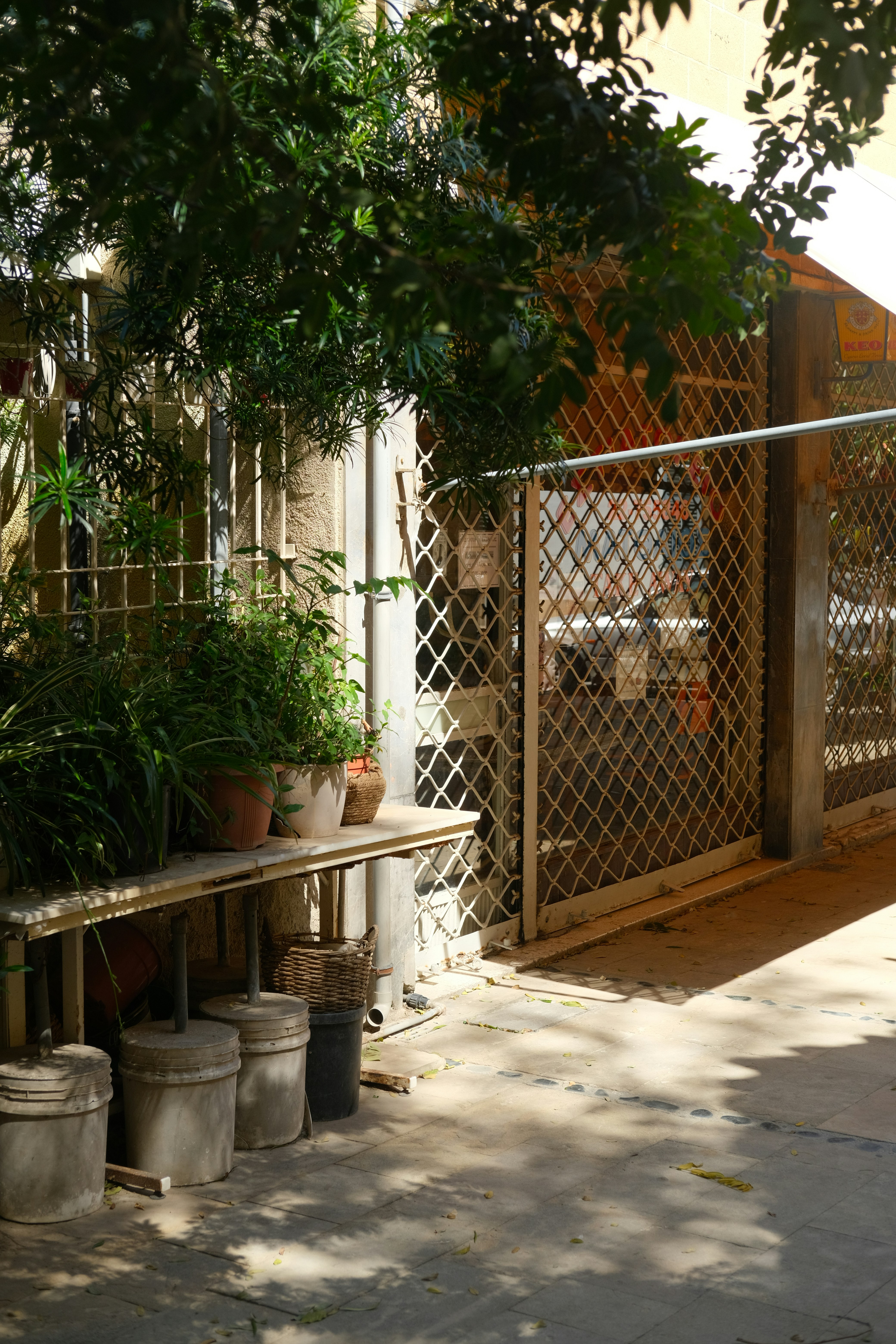 Photo by Dmitry Kropachev with Fujifilm X-S10