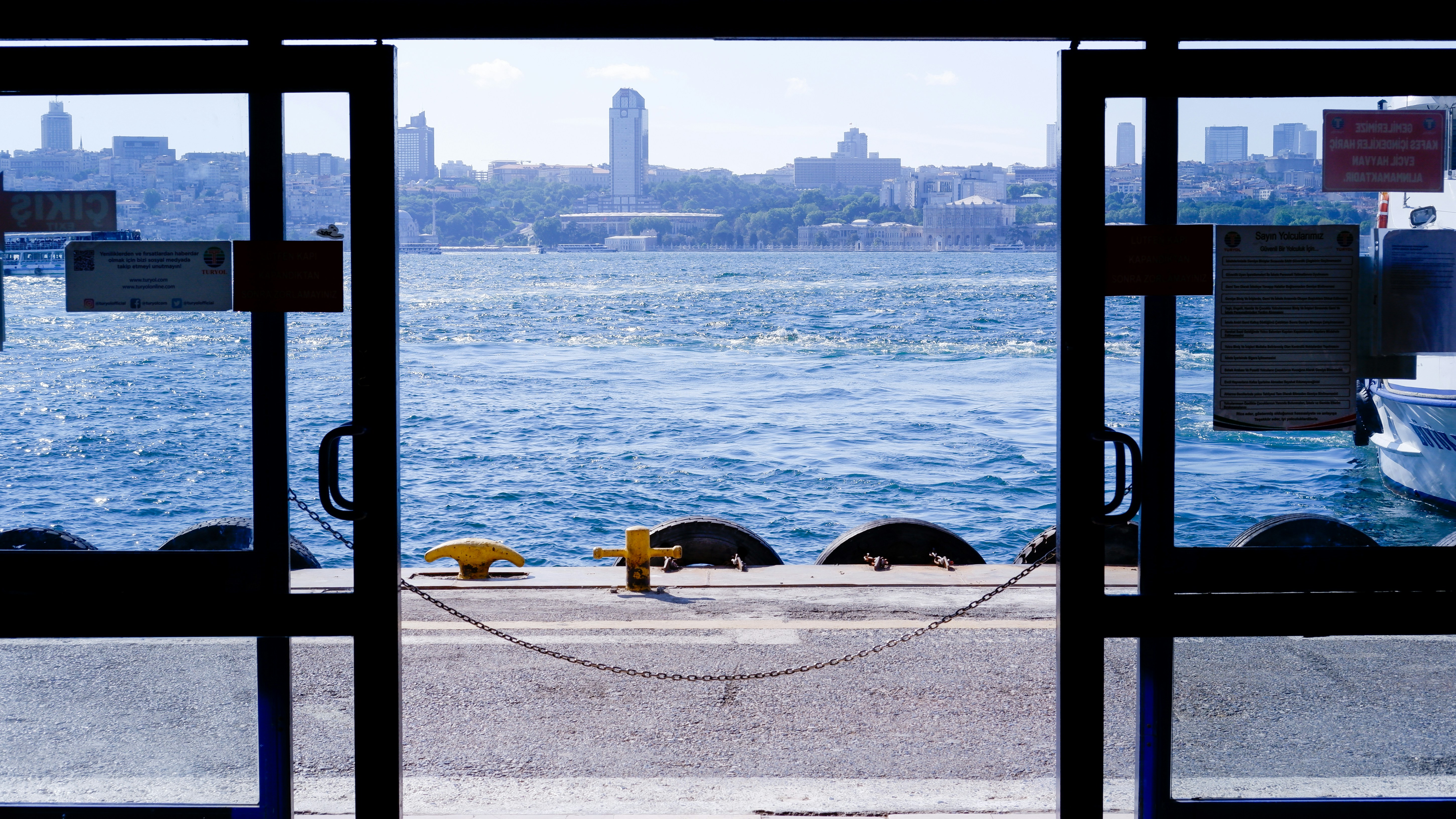 Yellow Sentinels at the Harbor's Glass Threshold