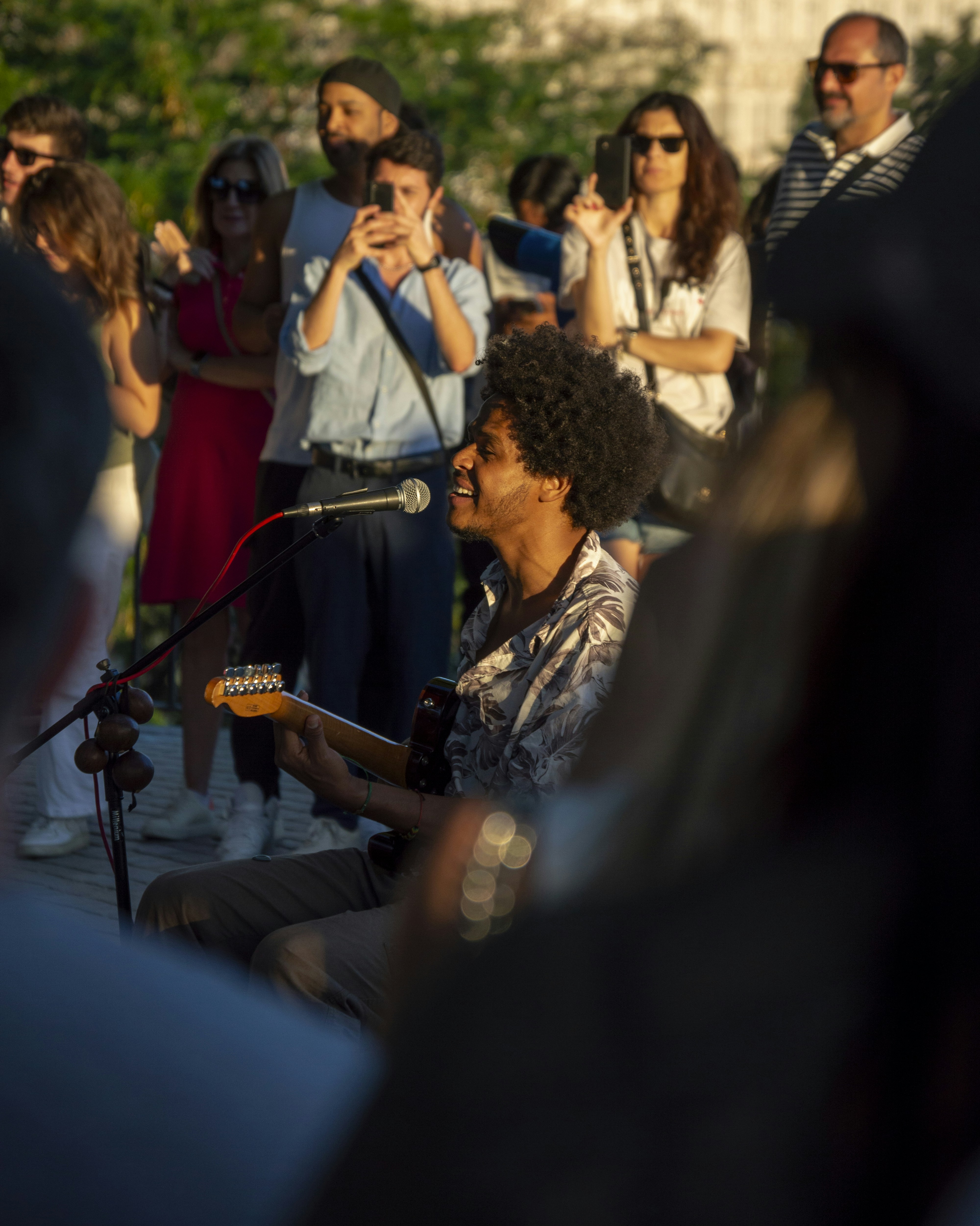 Guitar Serenade Under Golden Light