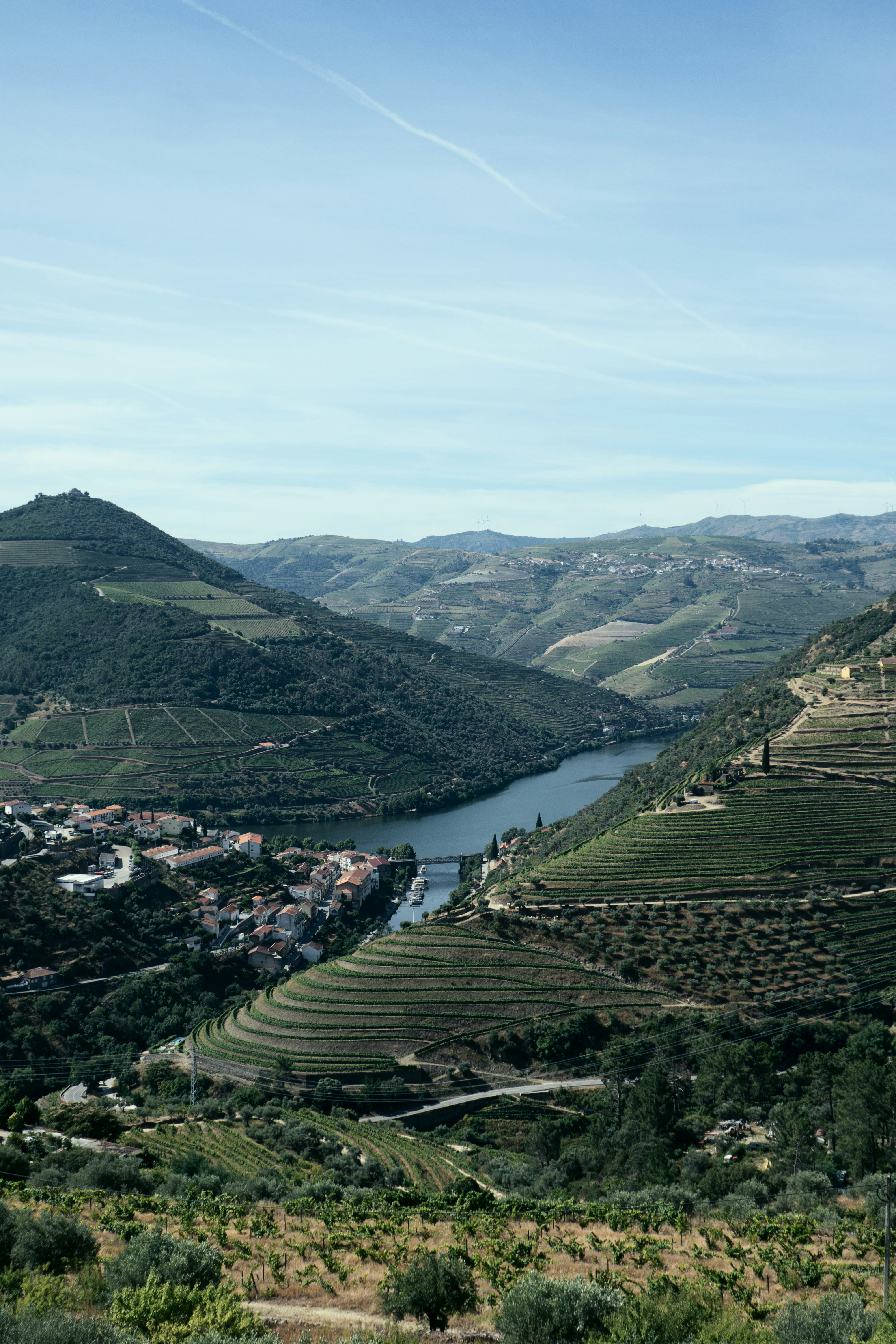 Terraced Vines Crown a Winding River Valley Under a Pale Blue Sky
