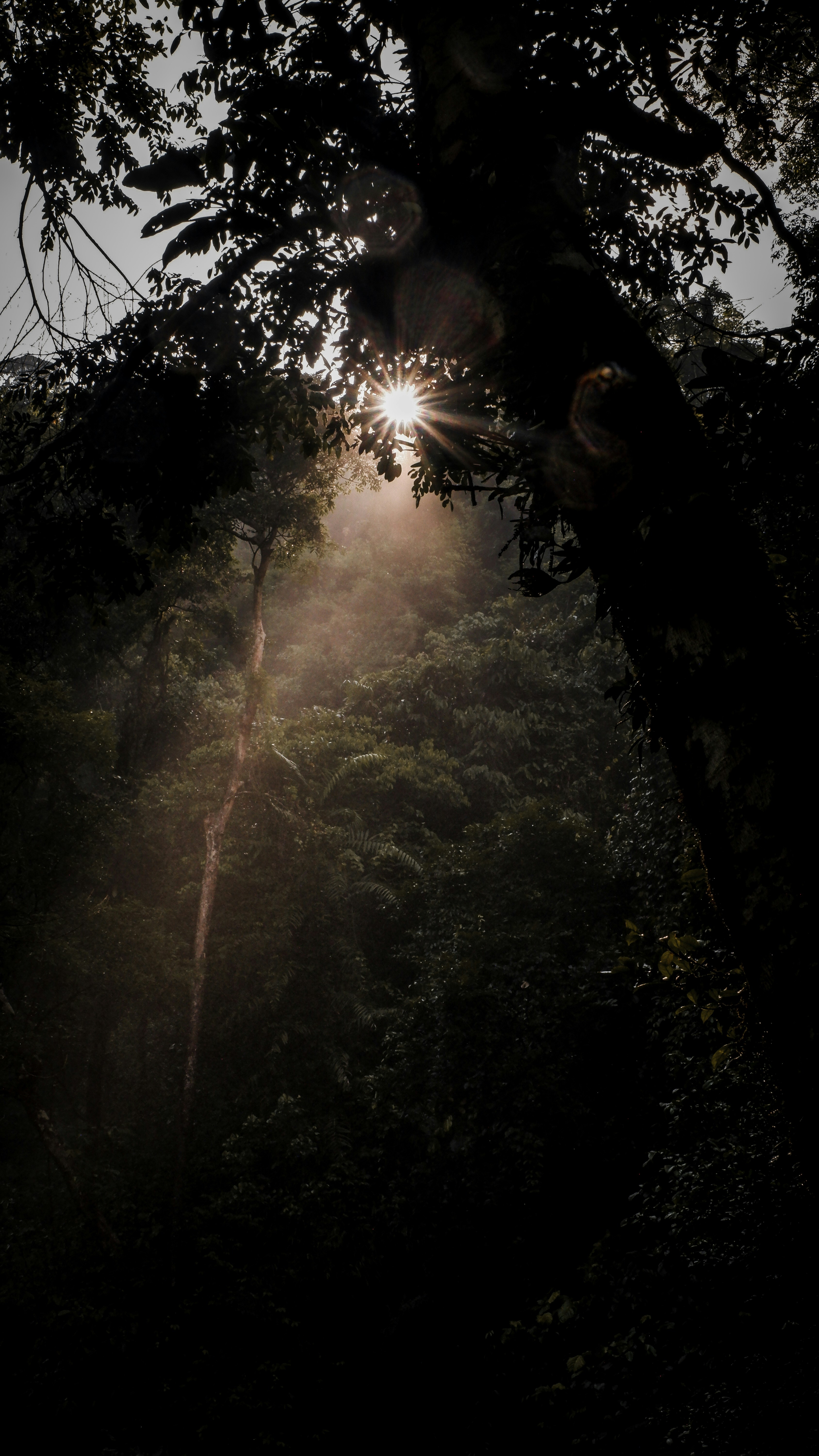 Photo by Jepretualang with Fujifilm X-A3