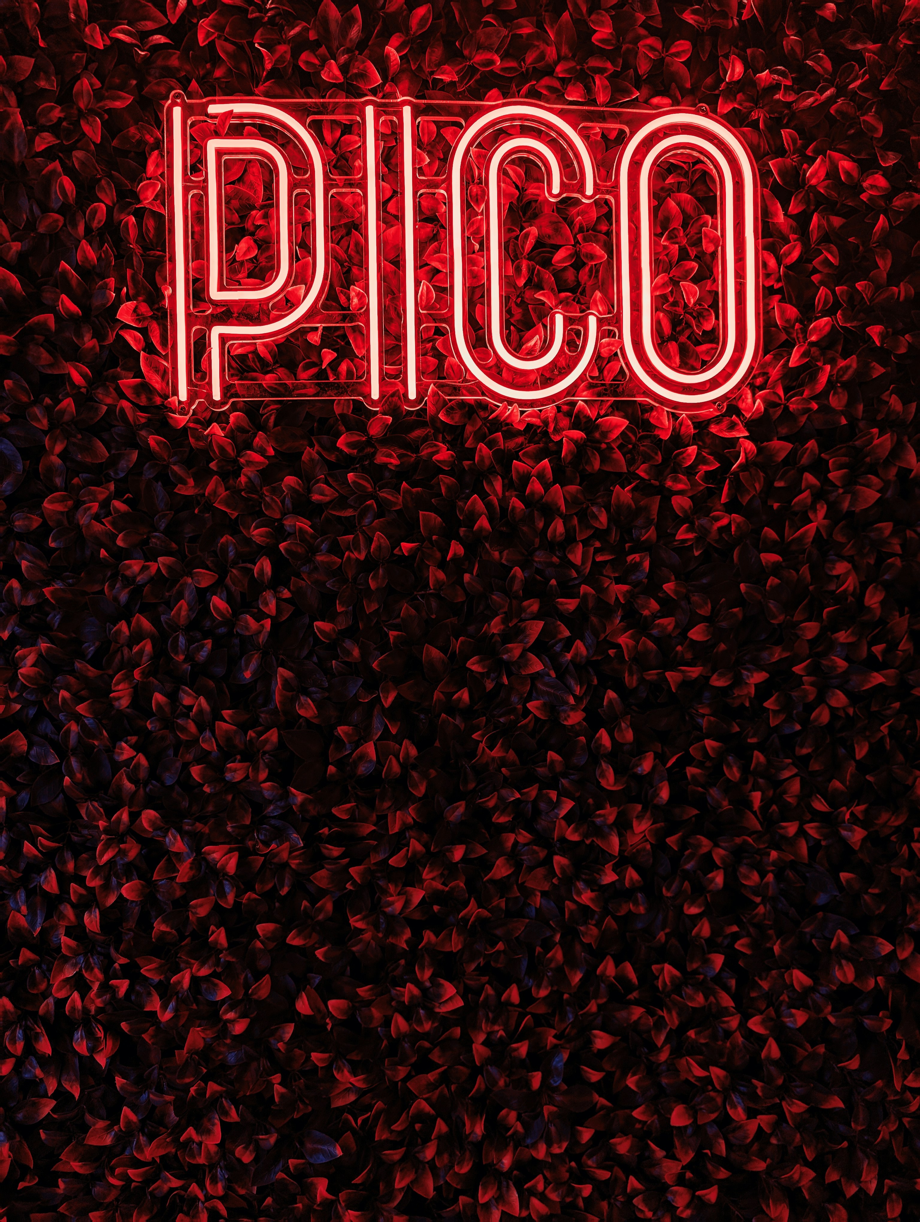 A red neon sign that reads pico photo – Free Neon Image on Unsplash
