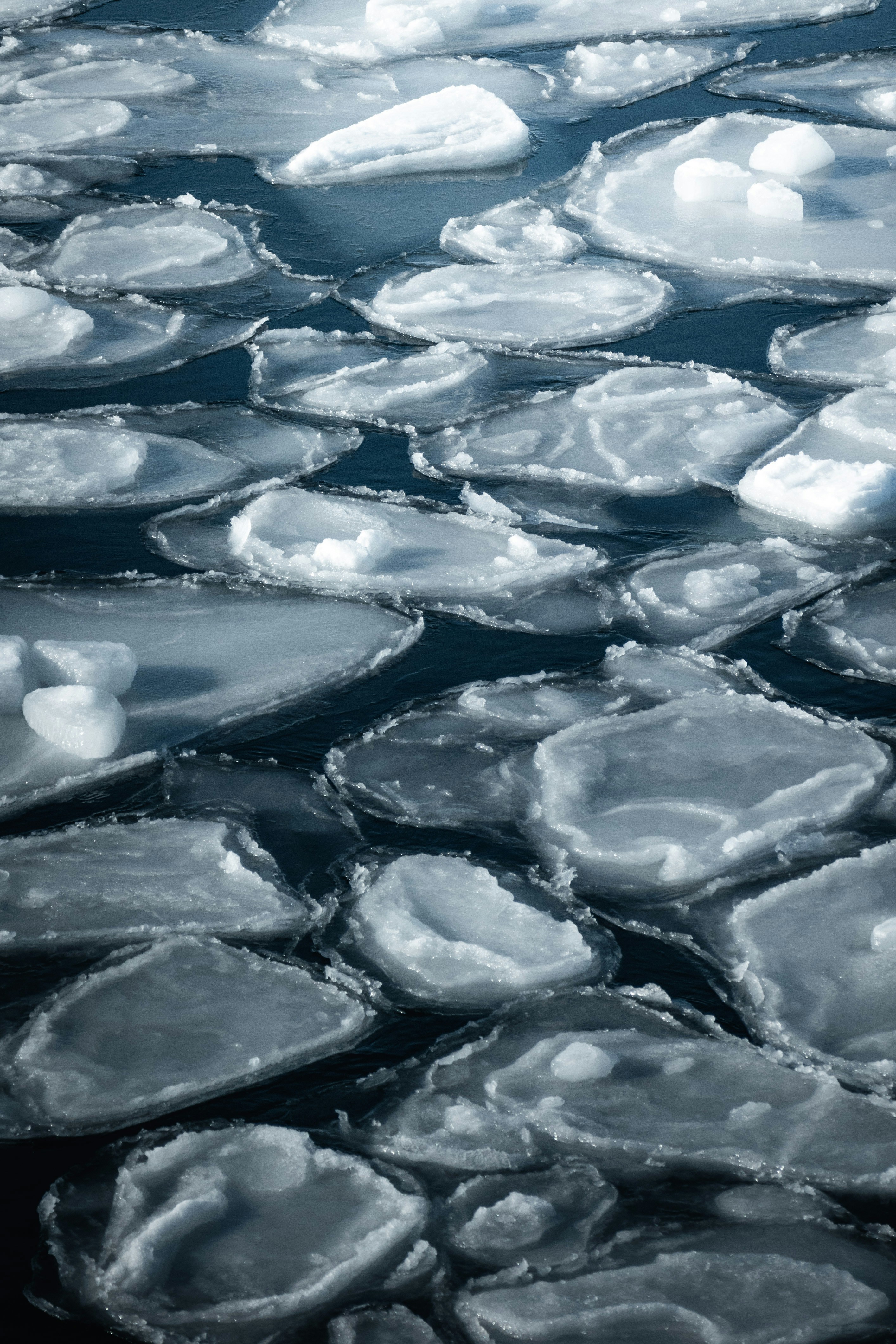 An aerial view of ice floes floating in the water photo – Free Ice ...