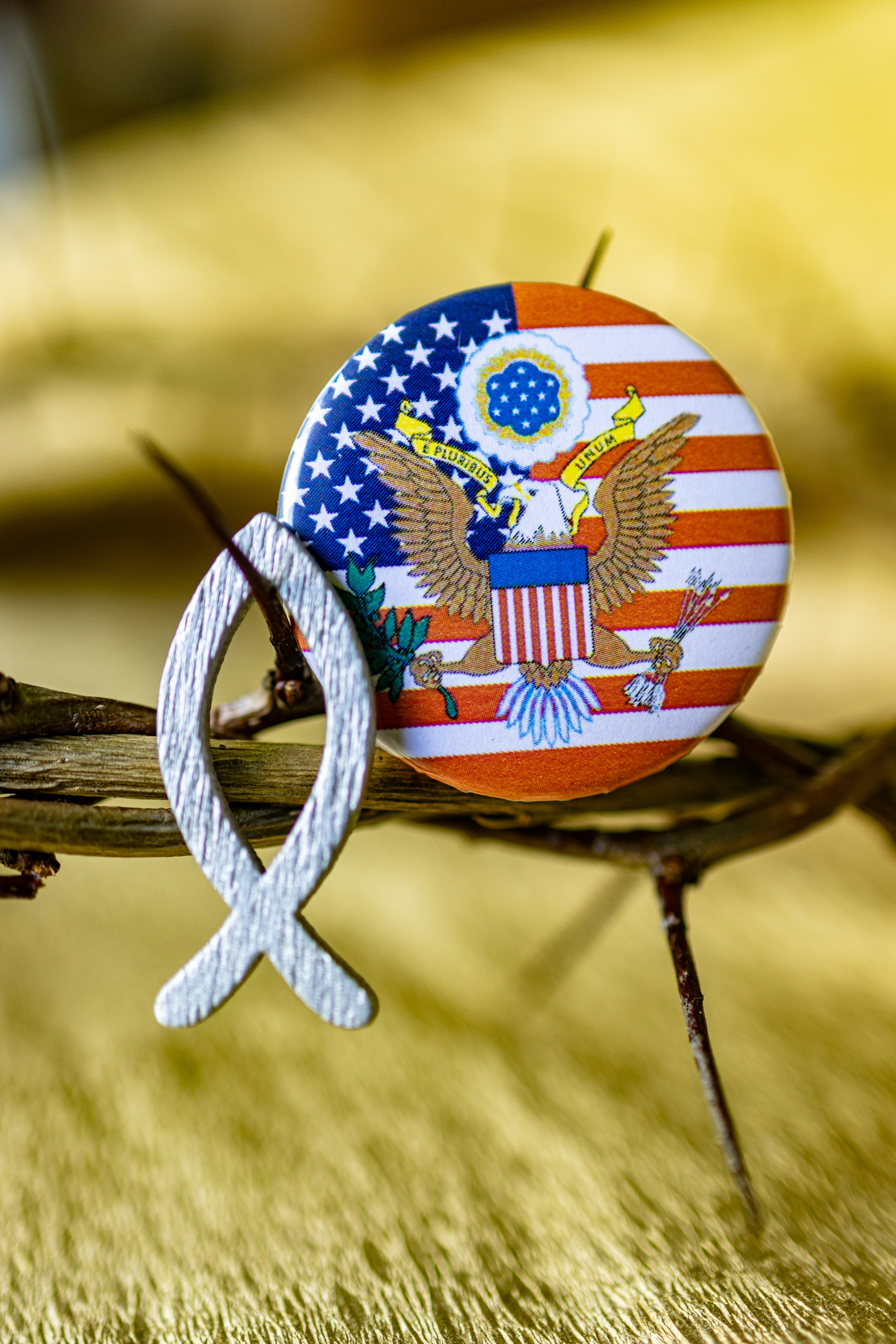 A crown of thorns on a US button