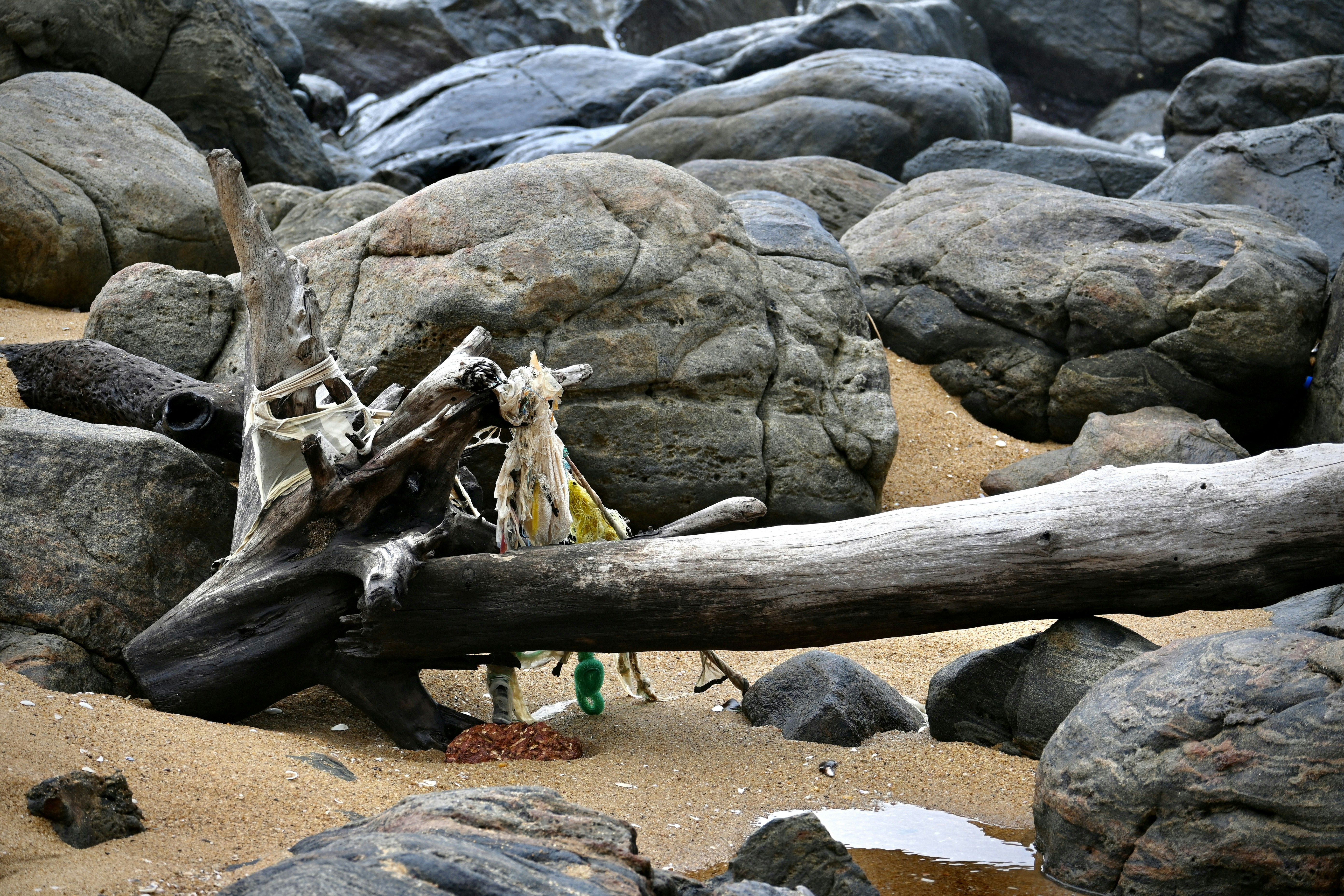 Fishing nets stuck on driftwood amongst rocks at Chembirika beach. Shot from Kasaragod in Kerala, India.