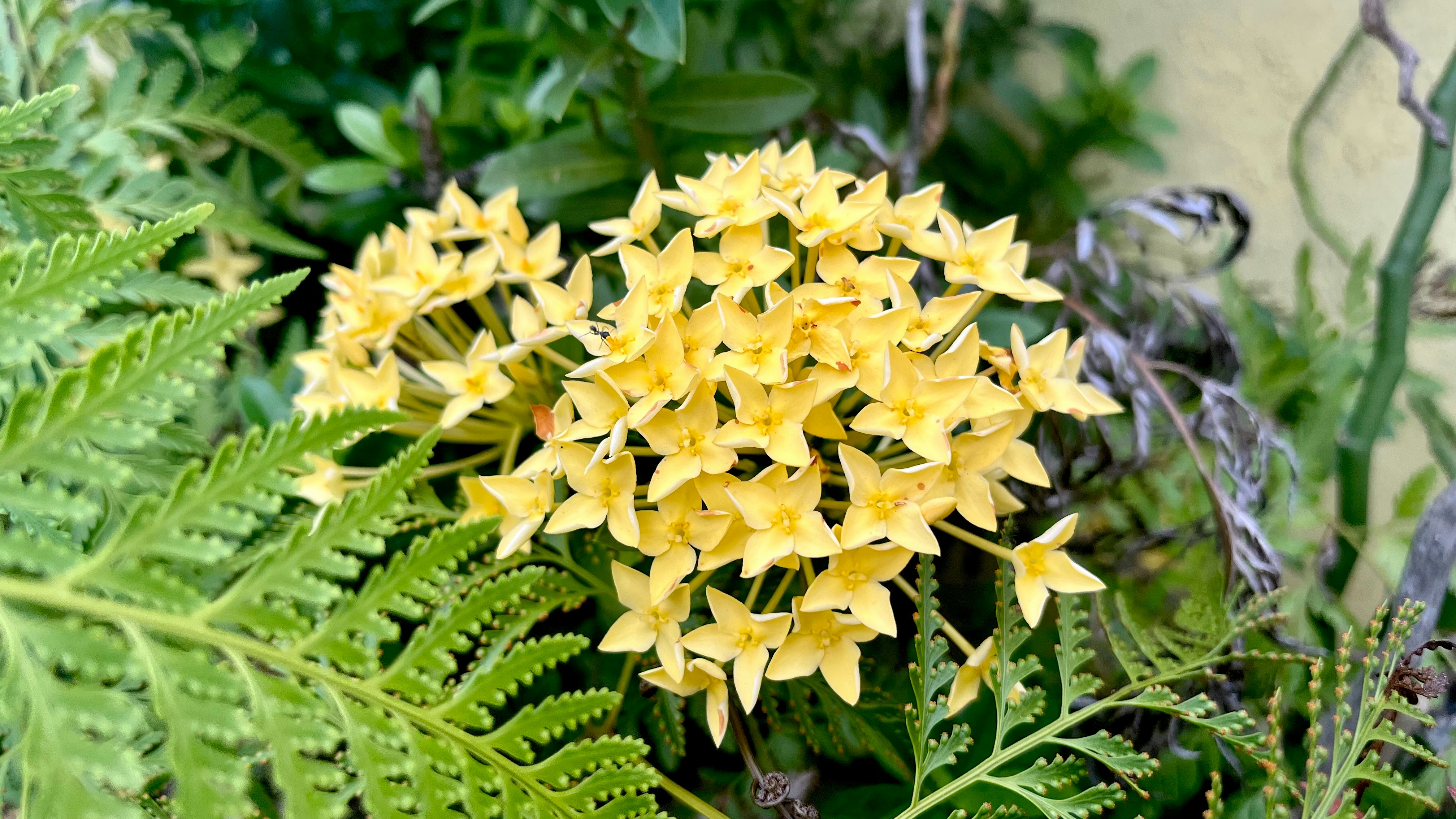 Mohd Safri (@chapeghi) | Unsplash 사진 커뮤니티