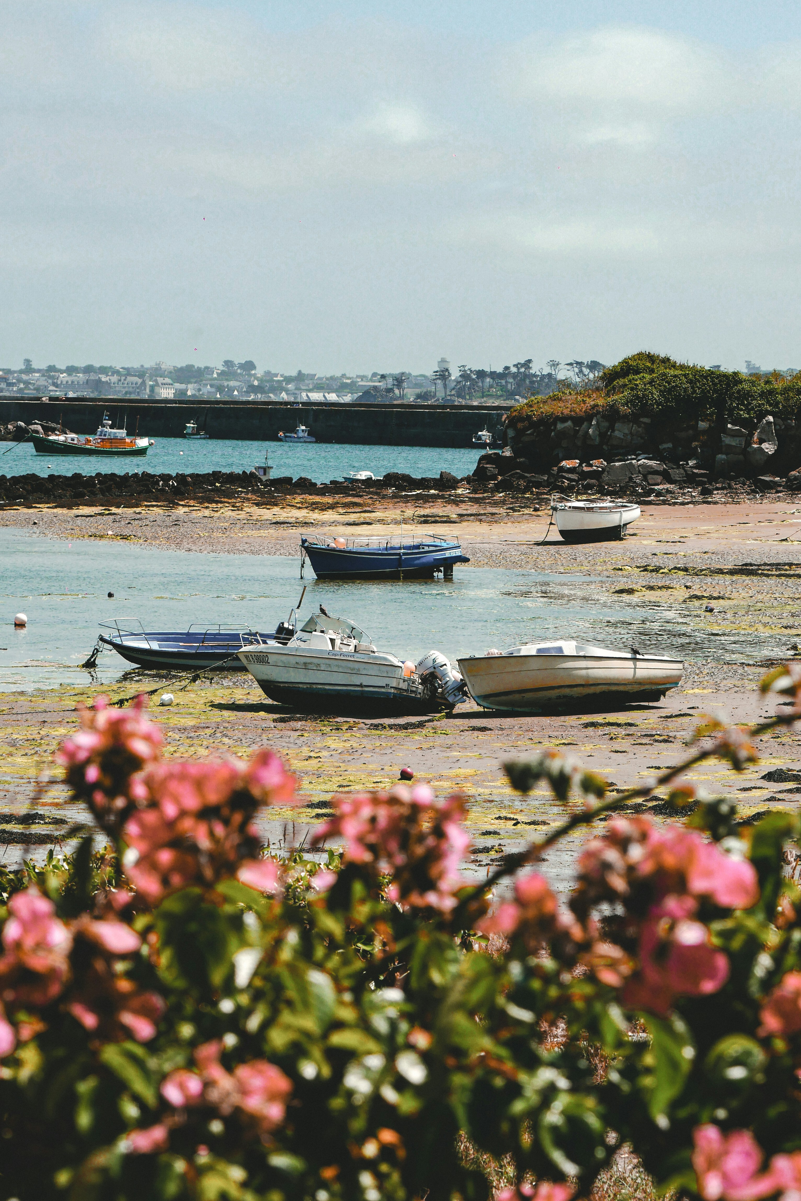 A group of boats sitting on top of a beach photo – Free Île-de-batz ...