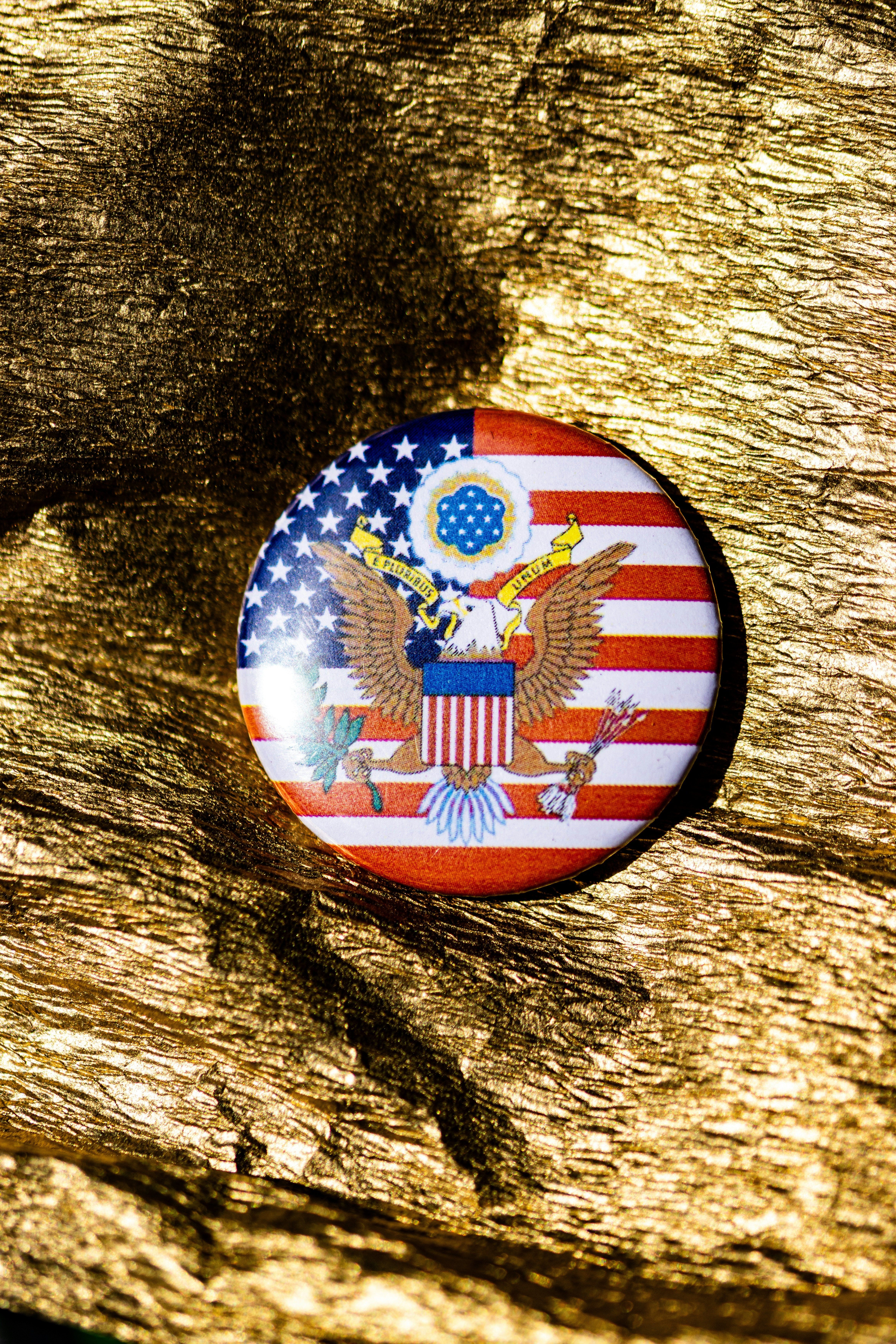 Sunlit US Eagle Seal Nestled in Weathered Bark