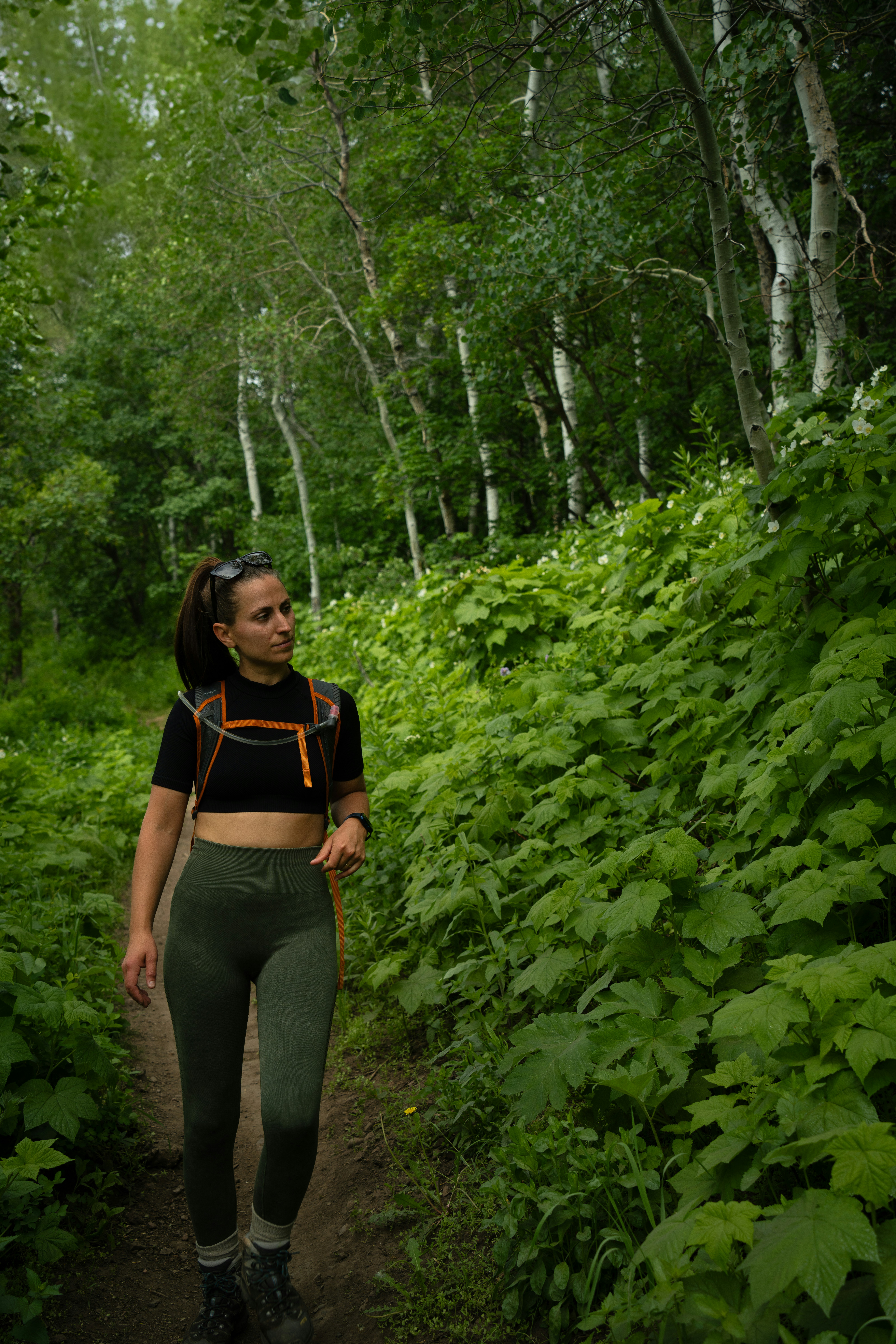 Lone Wanderer on a Fern-Lined Forest Path