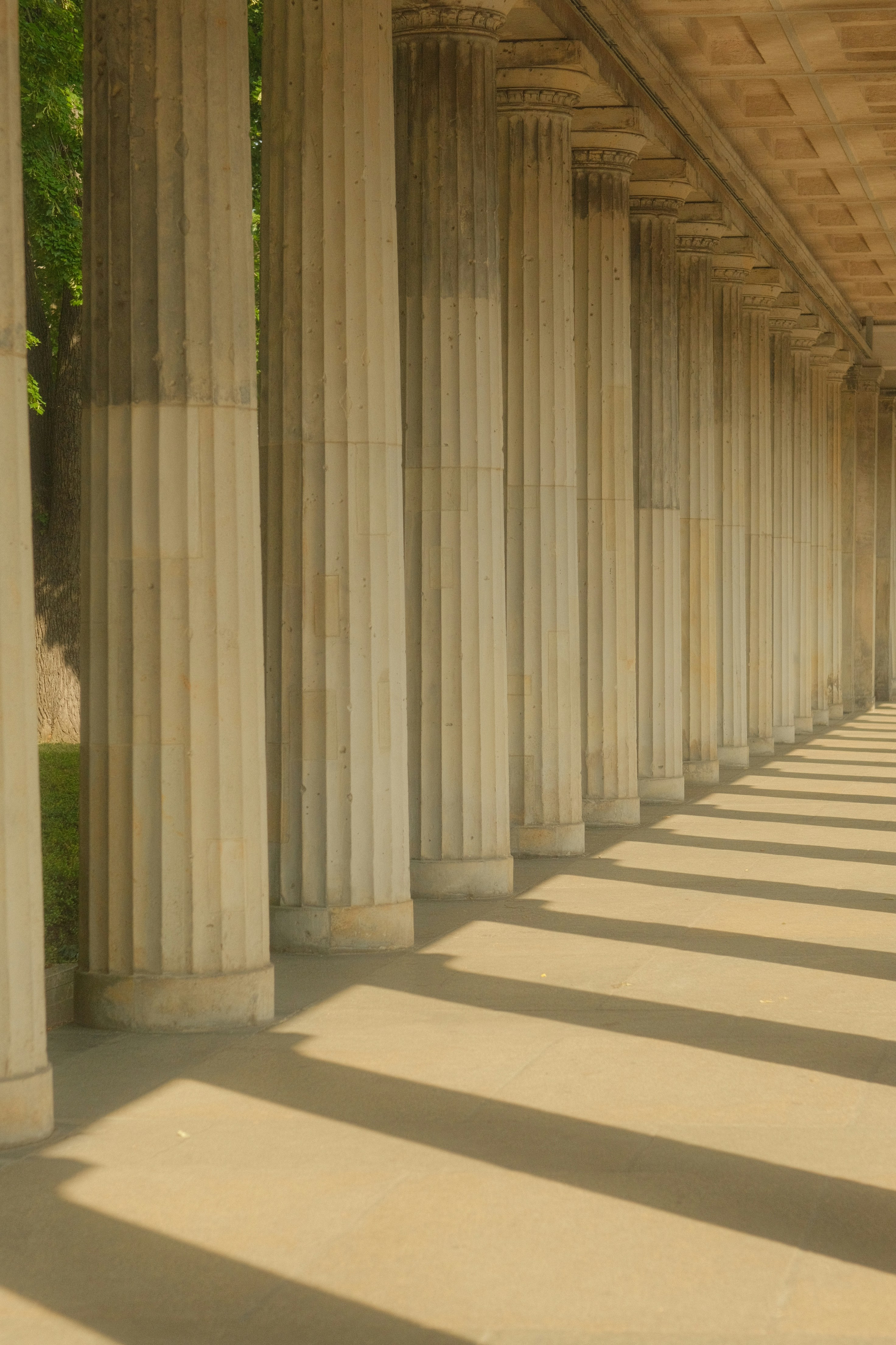 A row of columns with a person walking down one of them photo – Free ...