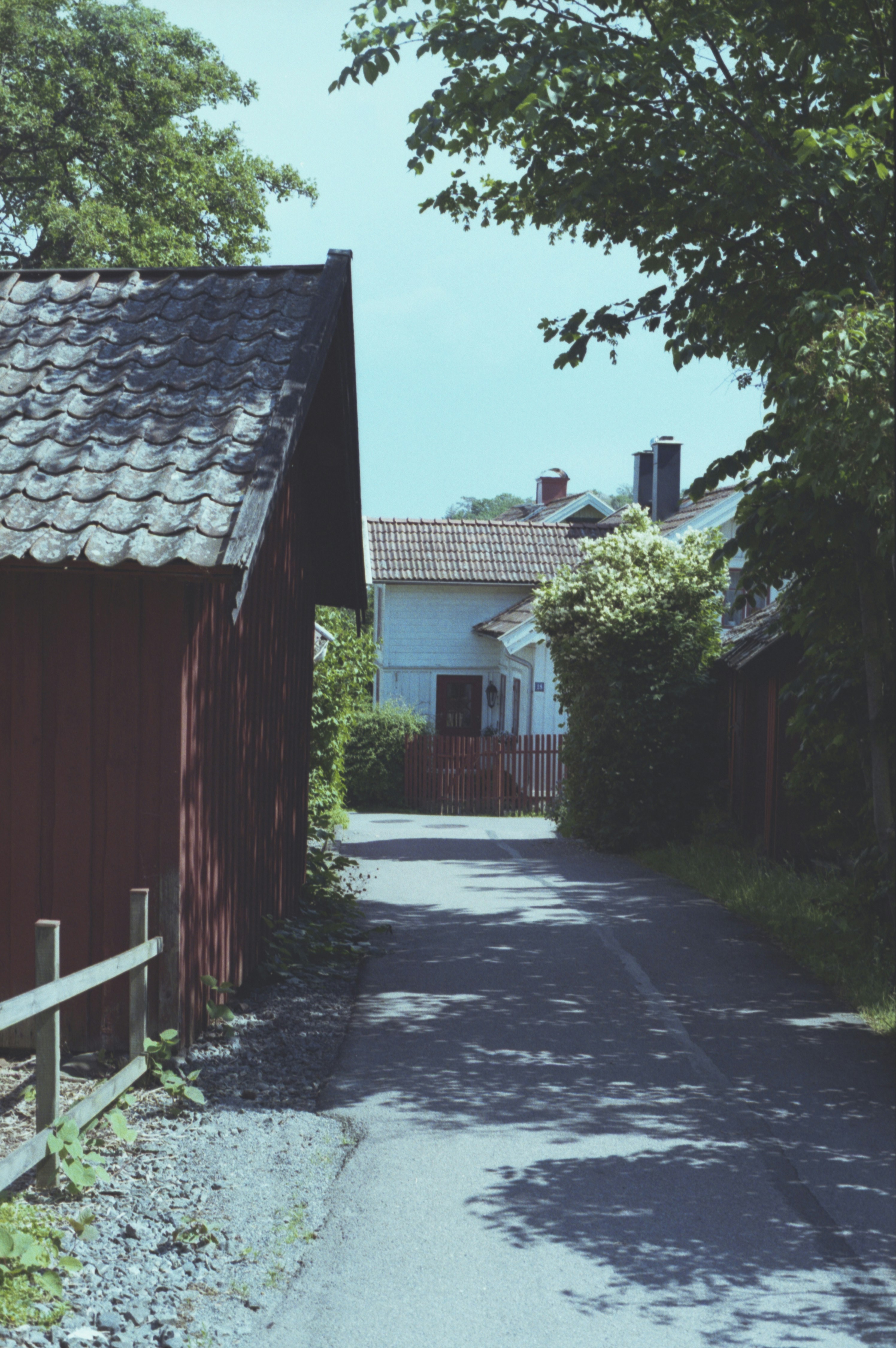 Photo by moniek van rosse with Minolta XG-1