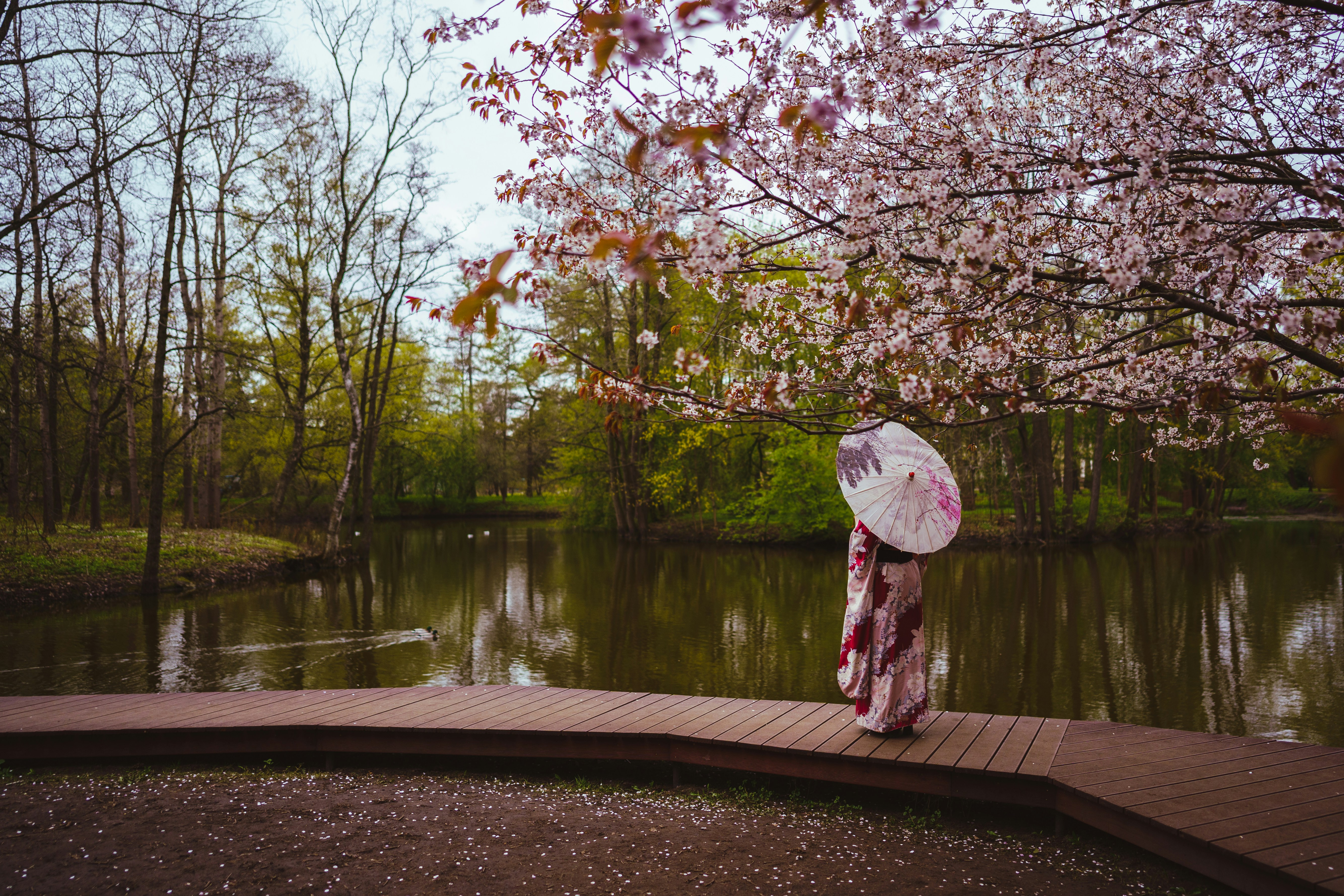 Petals, Umbrella, and a Quiet Portrait by the Pond