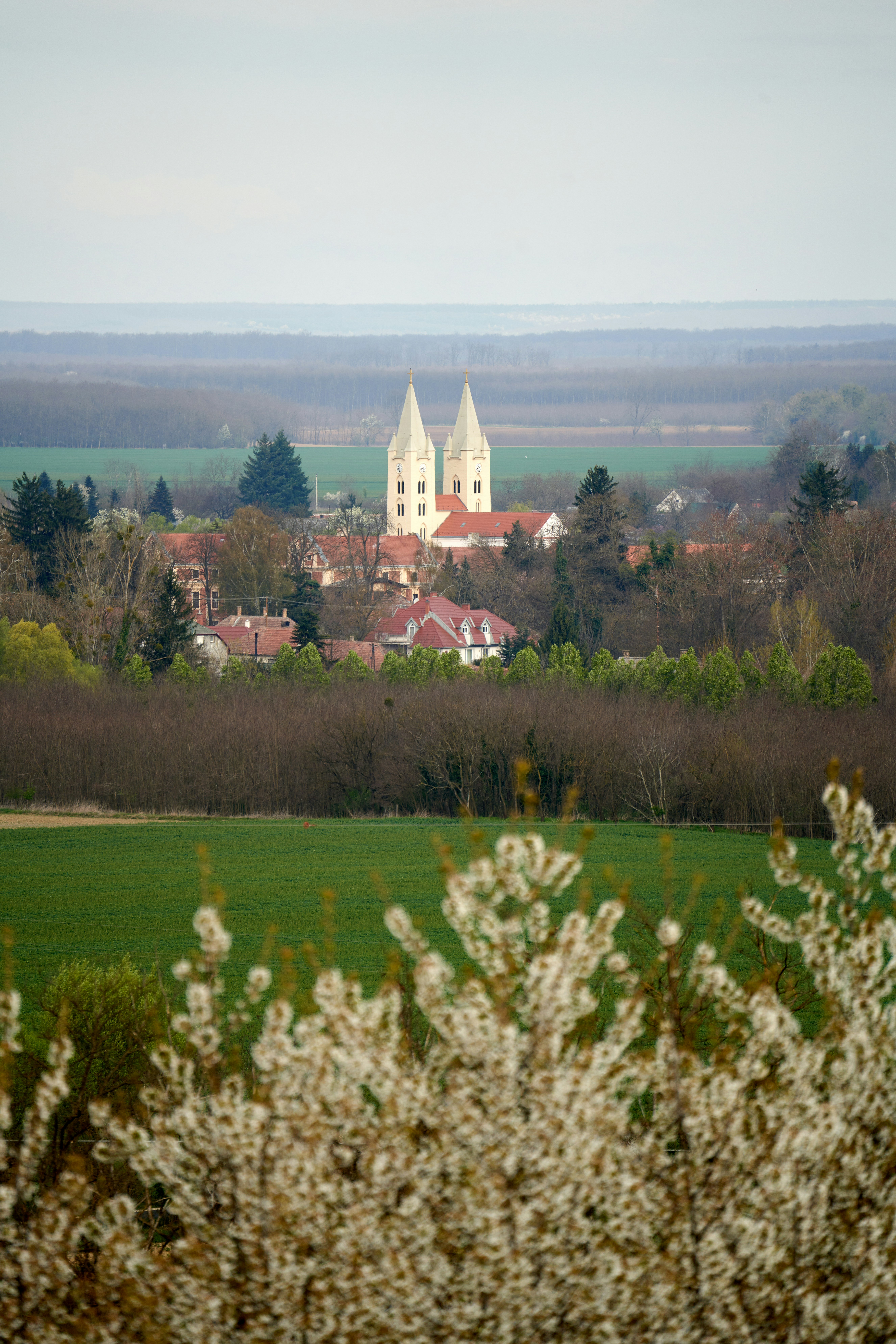 The former provost church of Türje (in the village of Türje, Zala County) is a Romanesque, three-nave church with a westwork western main facade, surrounded by blooming fruit trees in spring