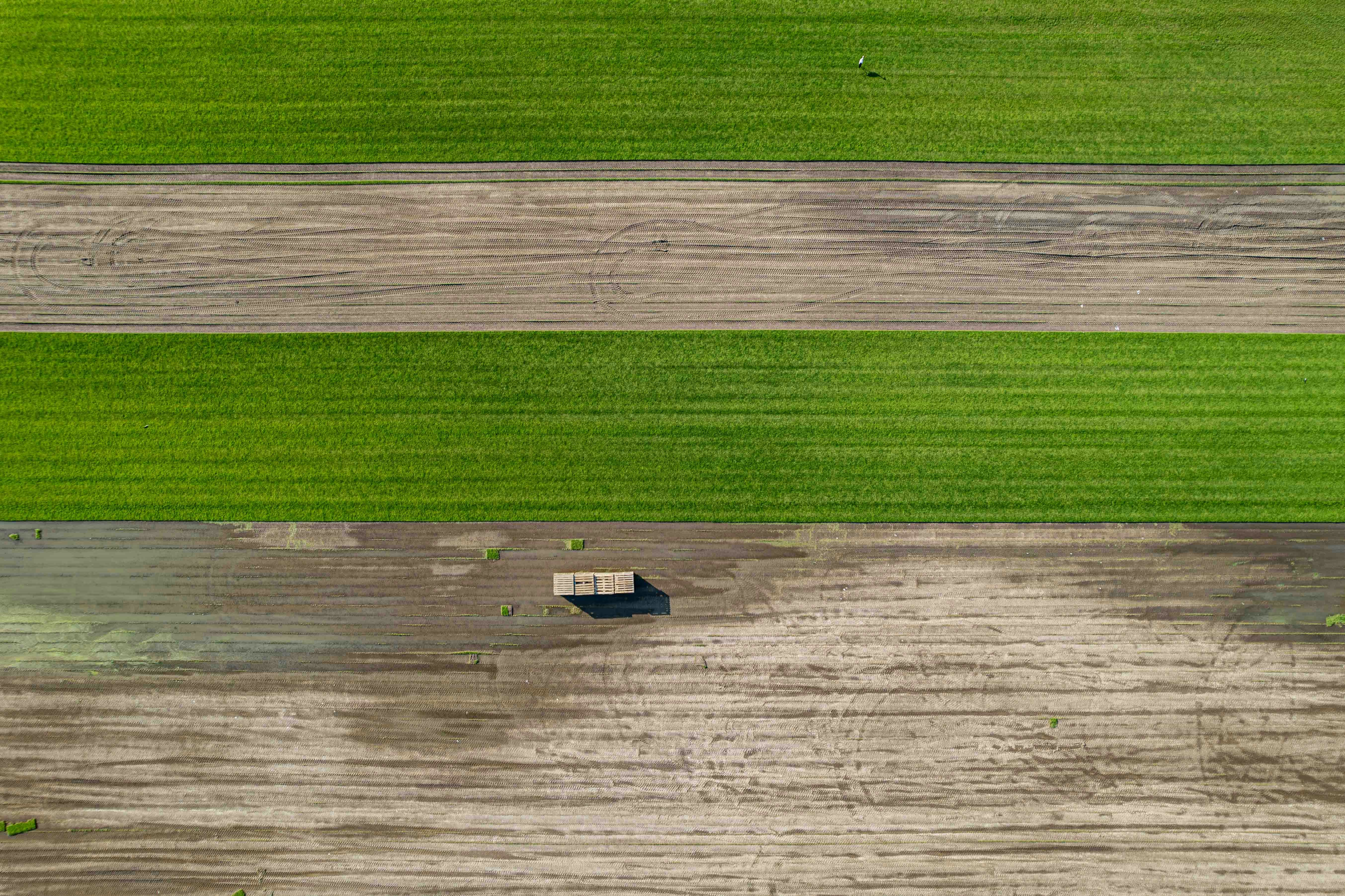 An aerial view of a farm field with a tractor photo – Free Green Image ...