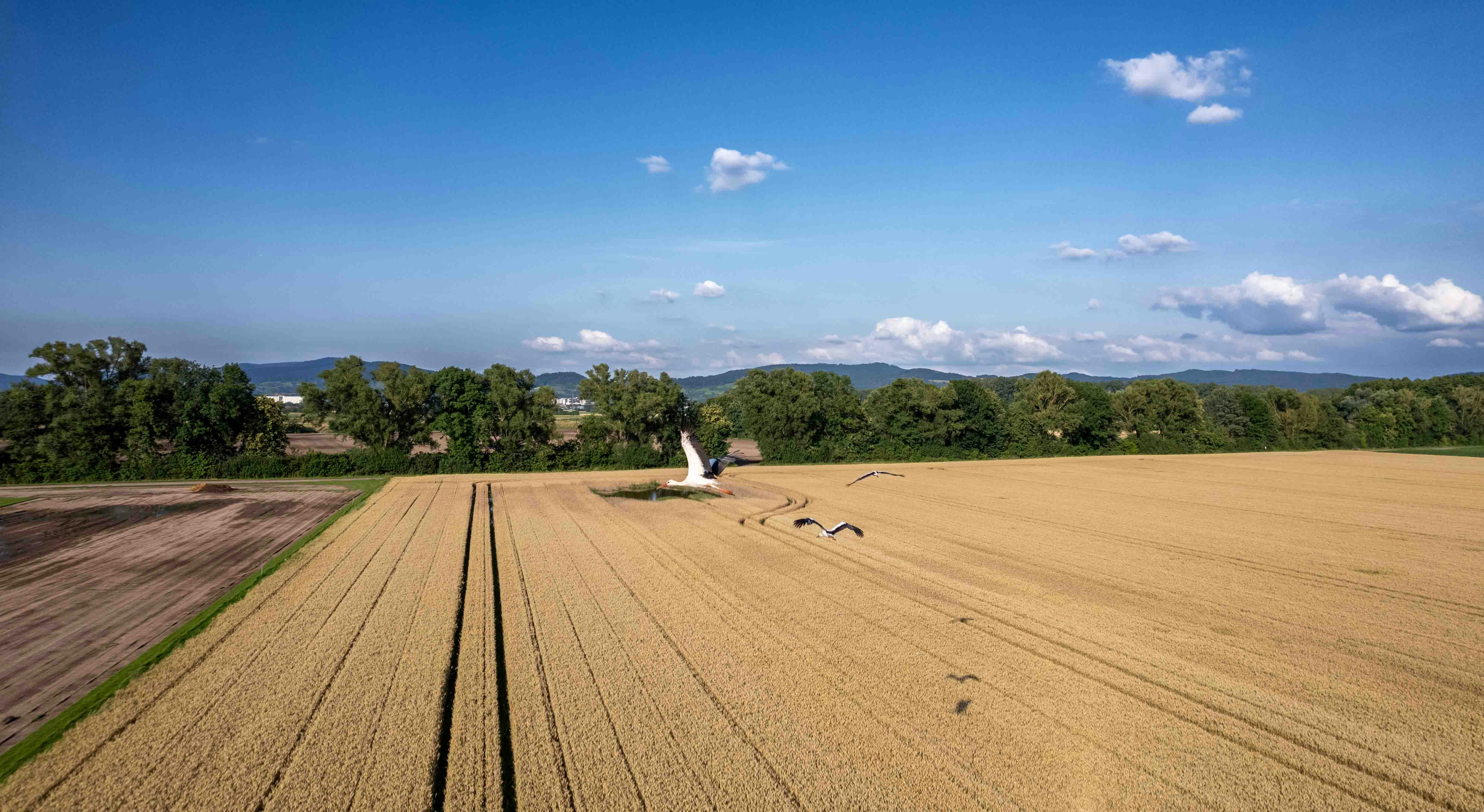 An aerial view of a farm field with a tractor in the foreground photo ...