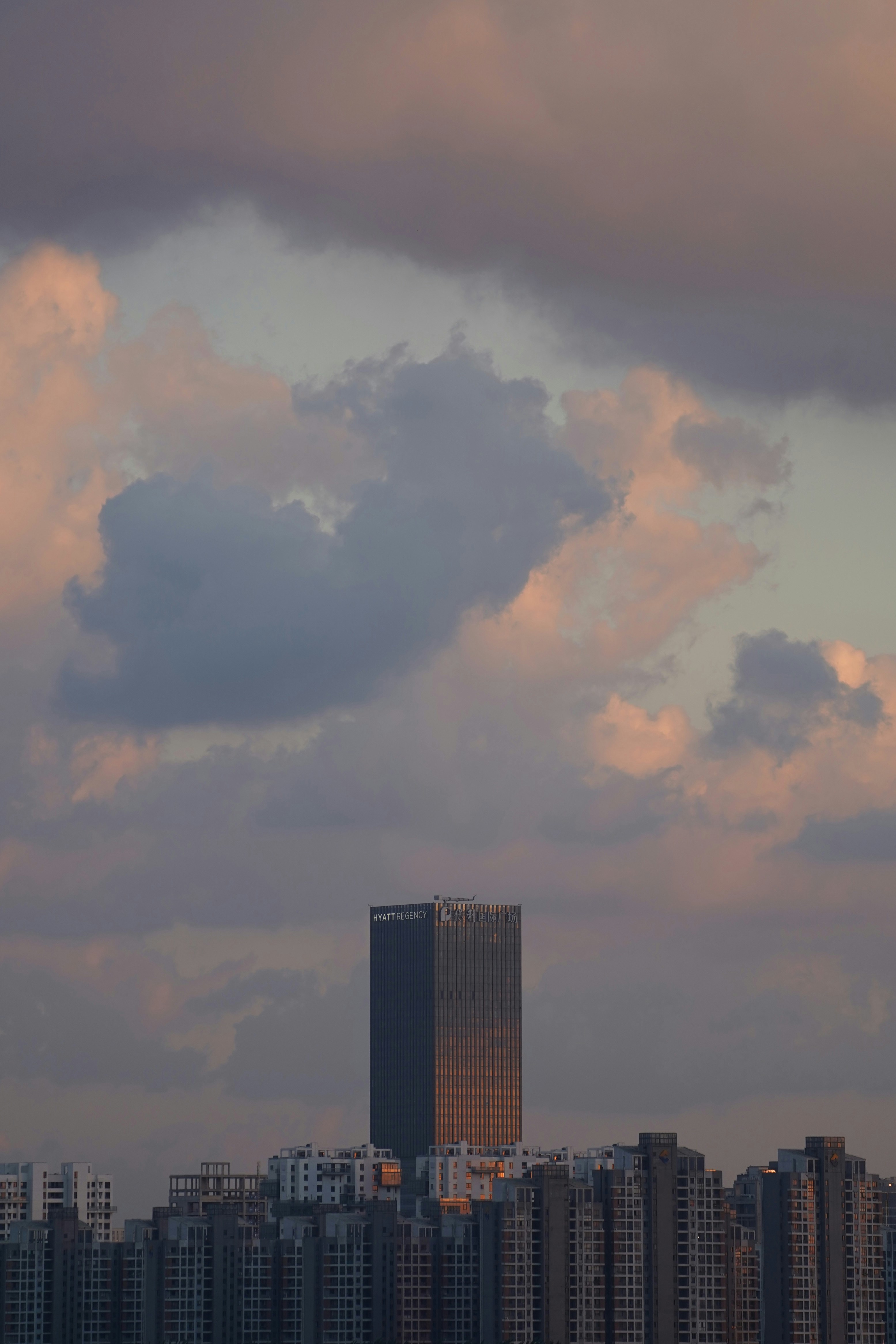 Tall Sentinel in Rose Clouds: A Skyline's Quiet Moment