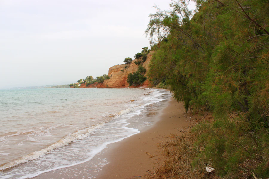 Sandy shoreline curves past a low cliff and dense green trees under a pale sky. Gentle waves lap the coast, with hazy land fading in the distance.