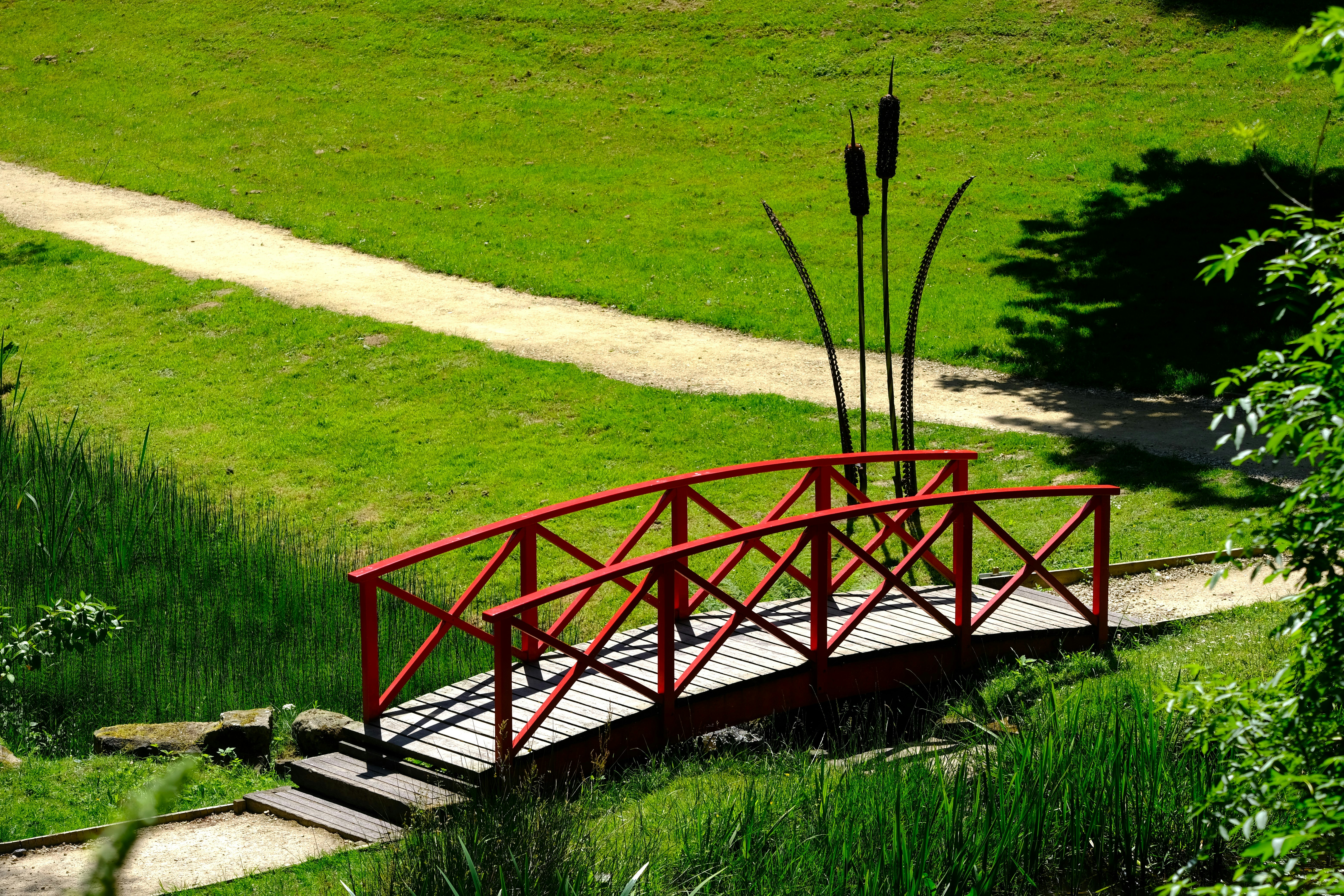 Crimson Footbridge in a Quiet Park Meadow