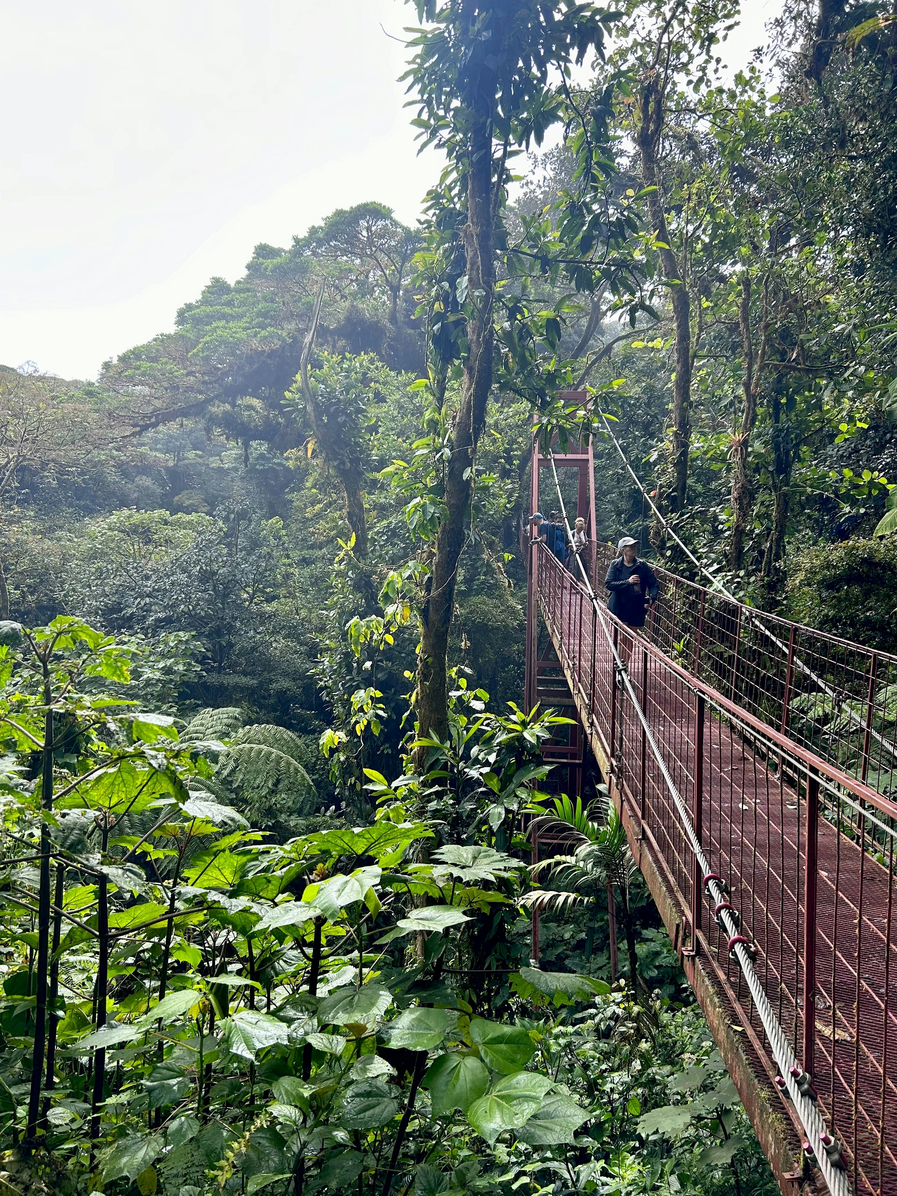 A man walking across a red bridge in the middle of a forest