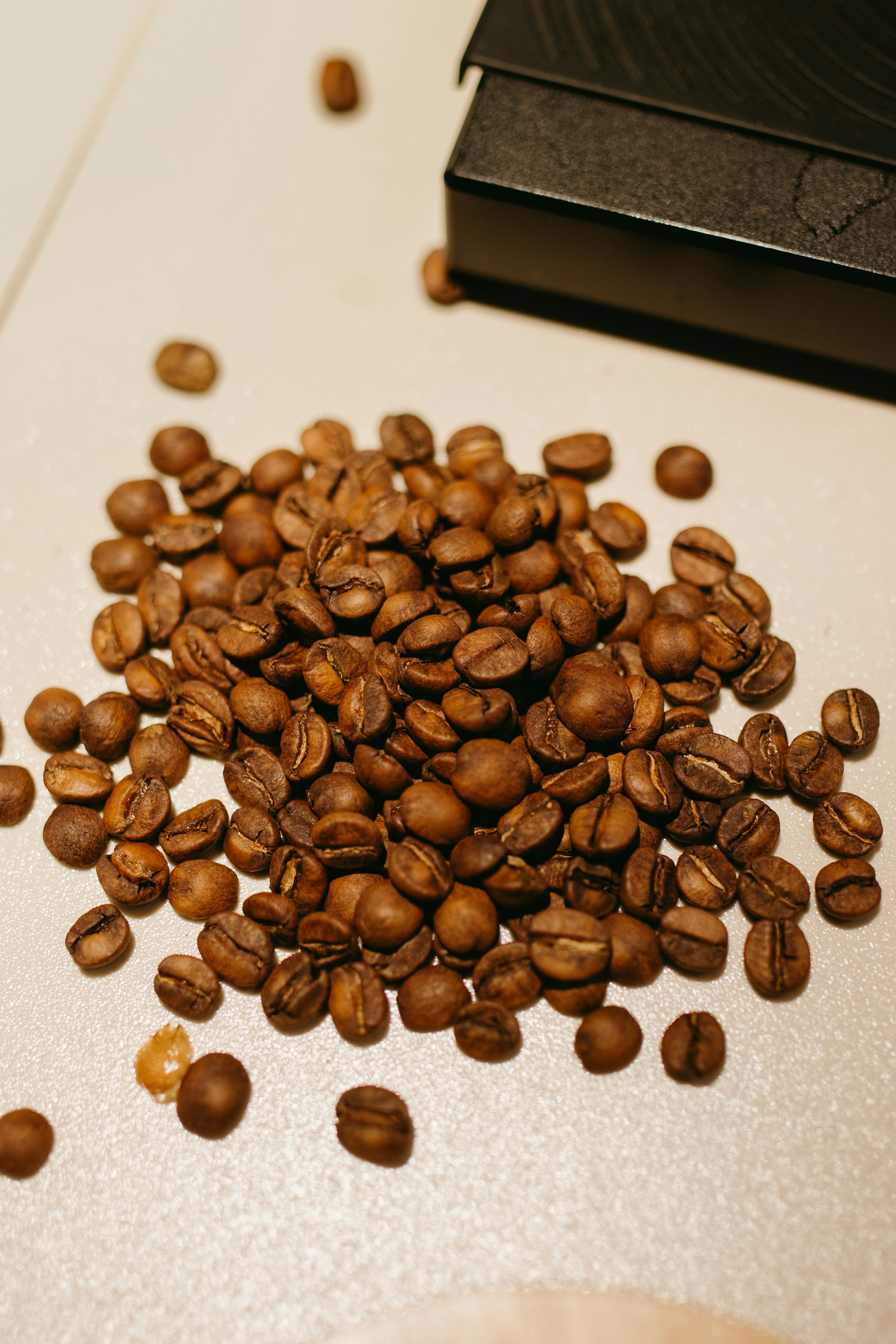 Photo by Jonathan Borba with Canon EOS R5