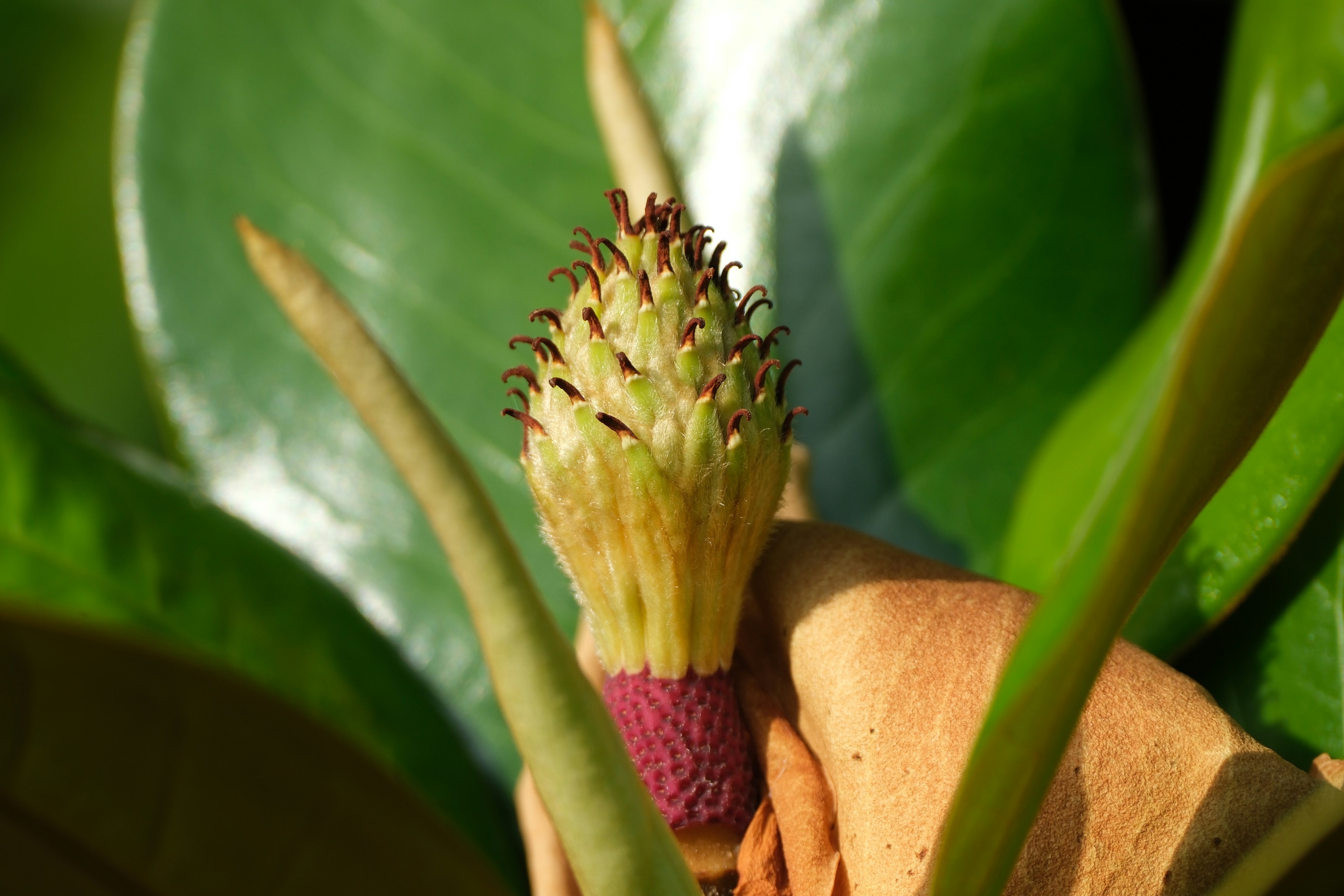 Photo by Walter Coppola with Fujifilm X-H2