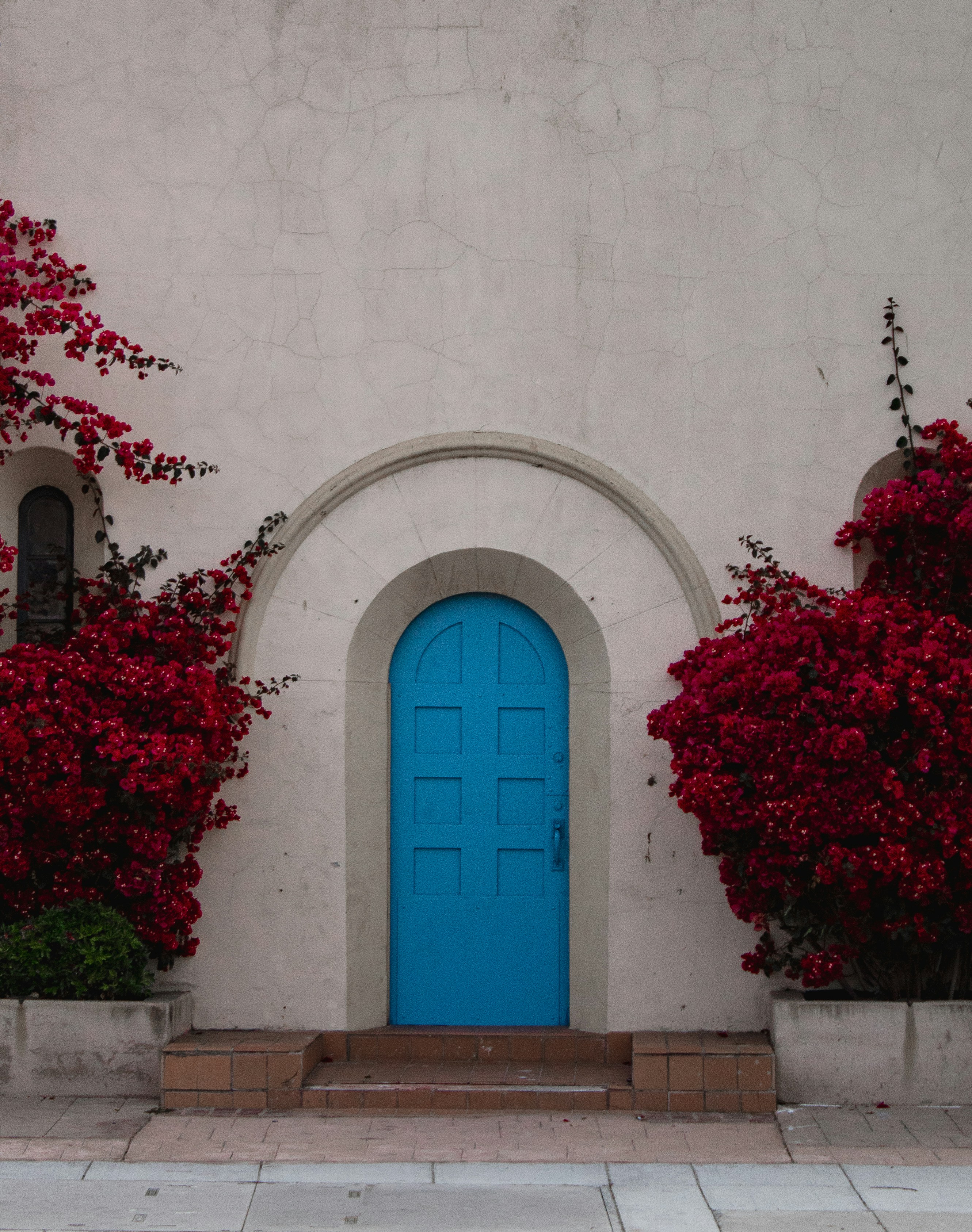 Photo by Daniel Damasio with Canon EOS 4000D