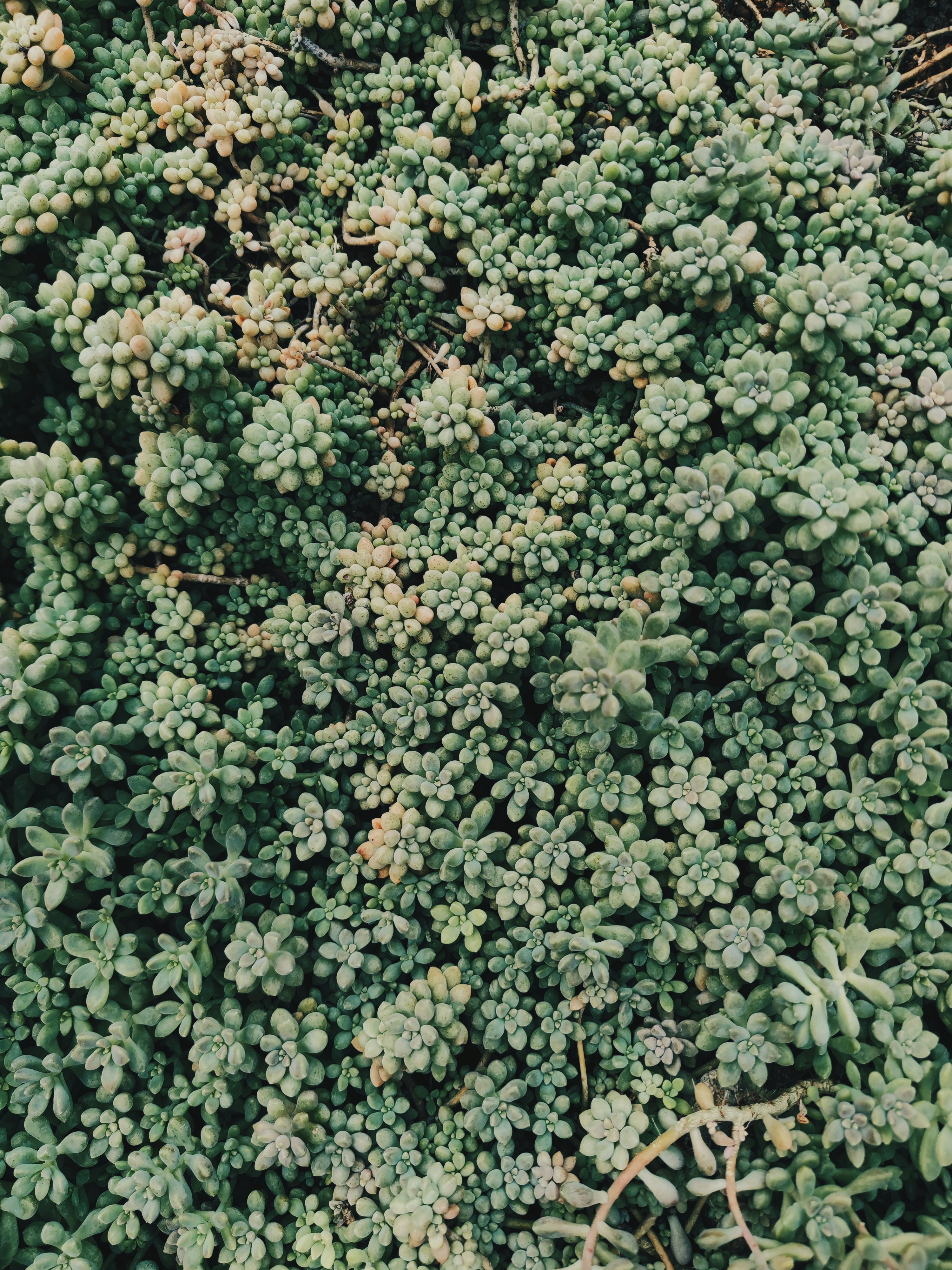 Photo by George Dagerotip with Xiaomi Mi 10 Ultra