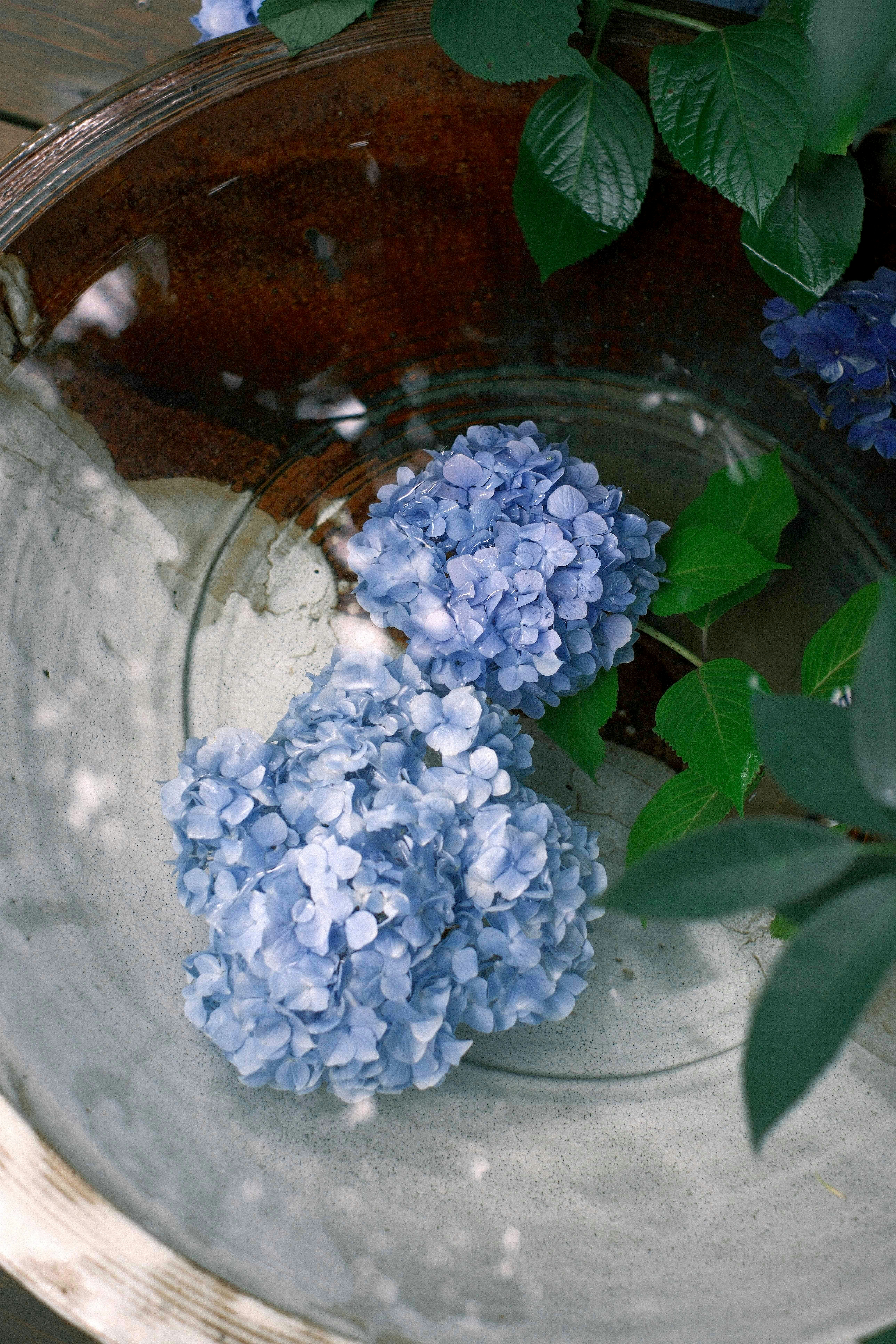 Photo by YUNAN WANG with Fujifilm X-T5