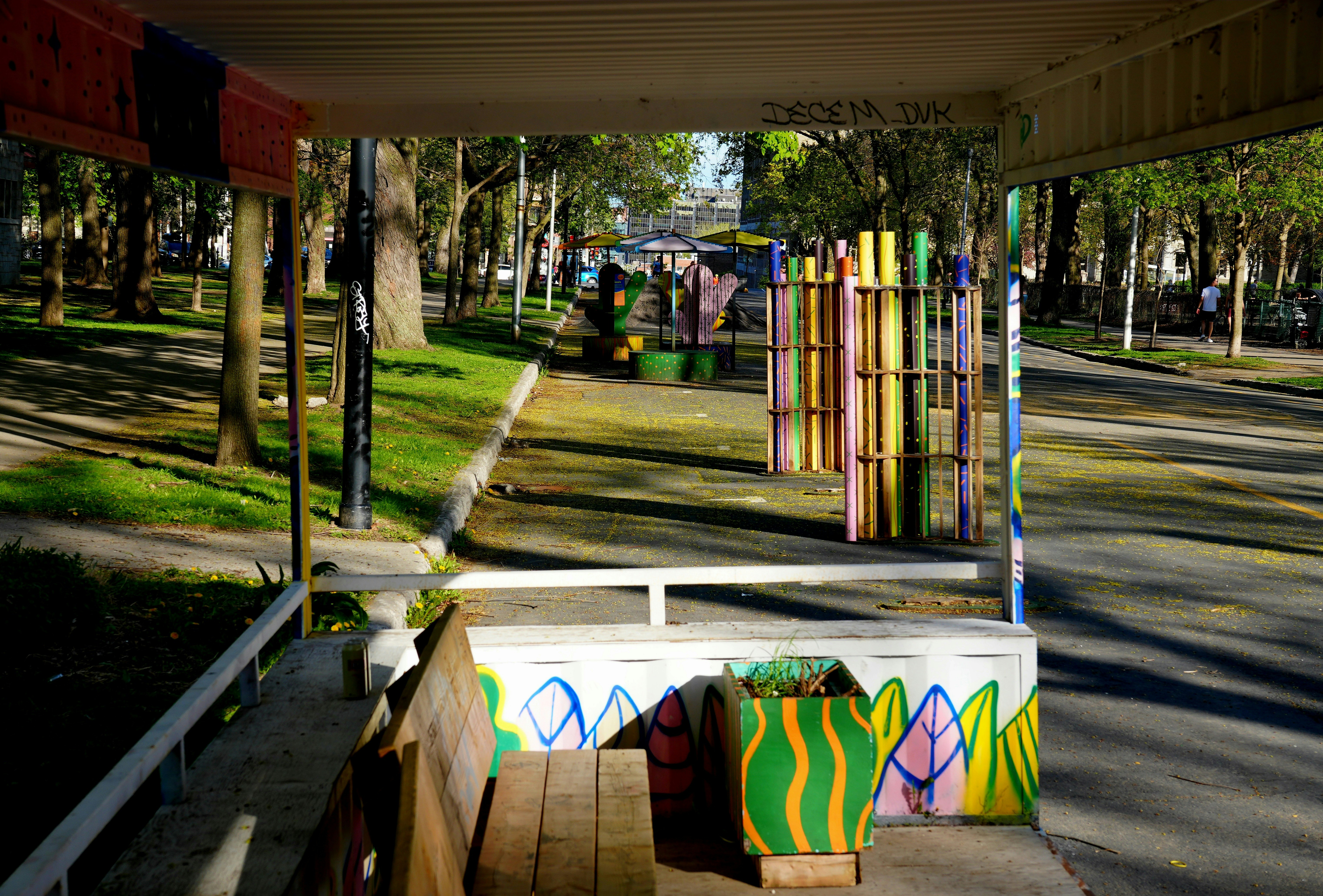 Photo by Shanie Roy with Sony FX30