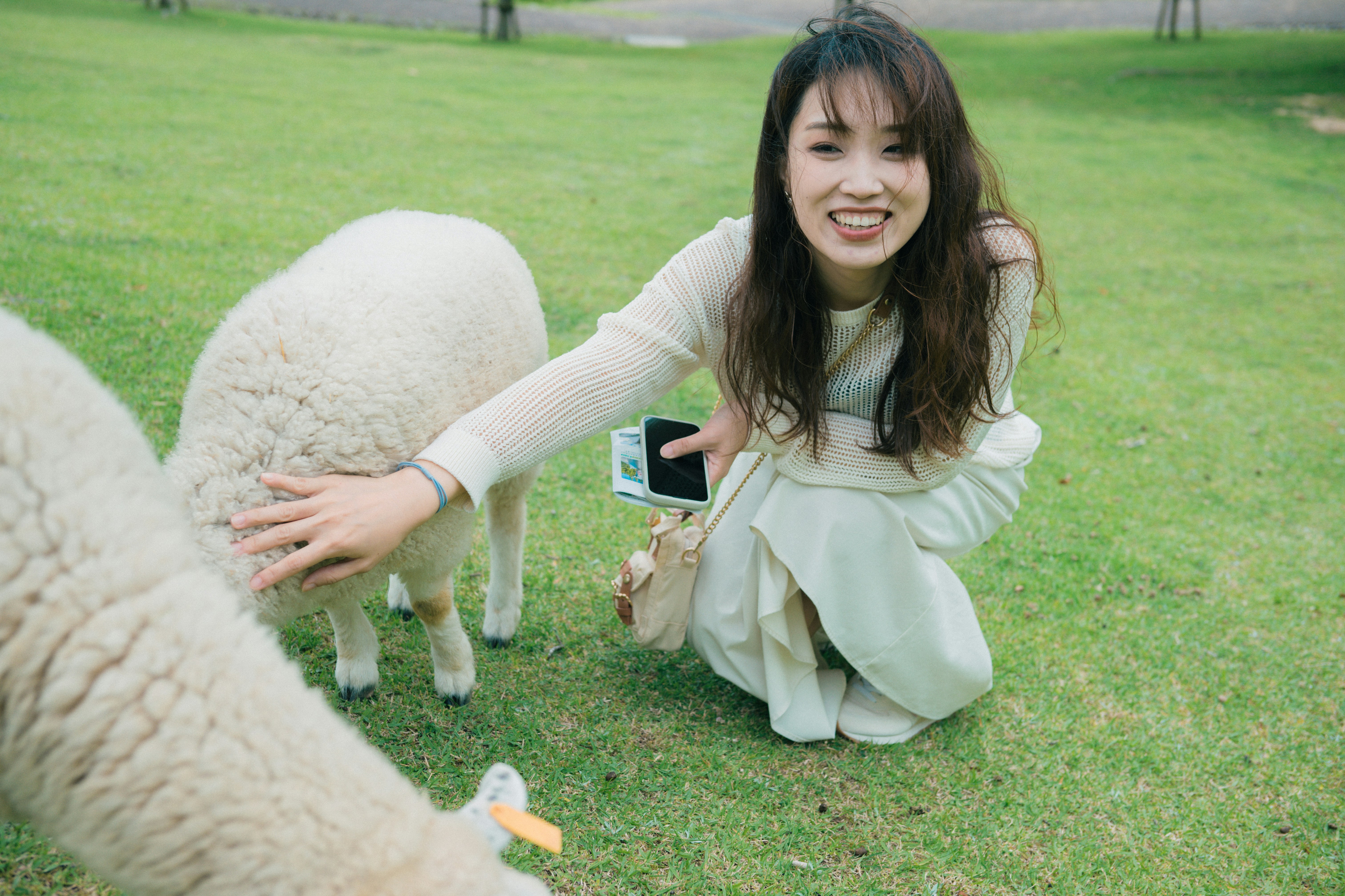 Pasture Portrait: A Smile Between Sheep