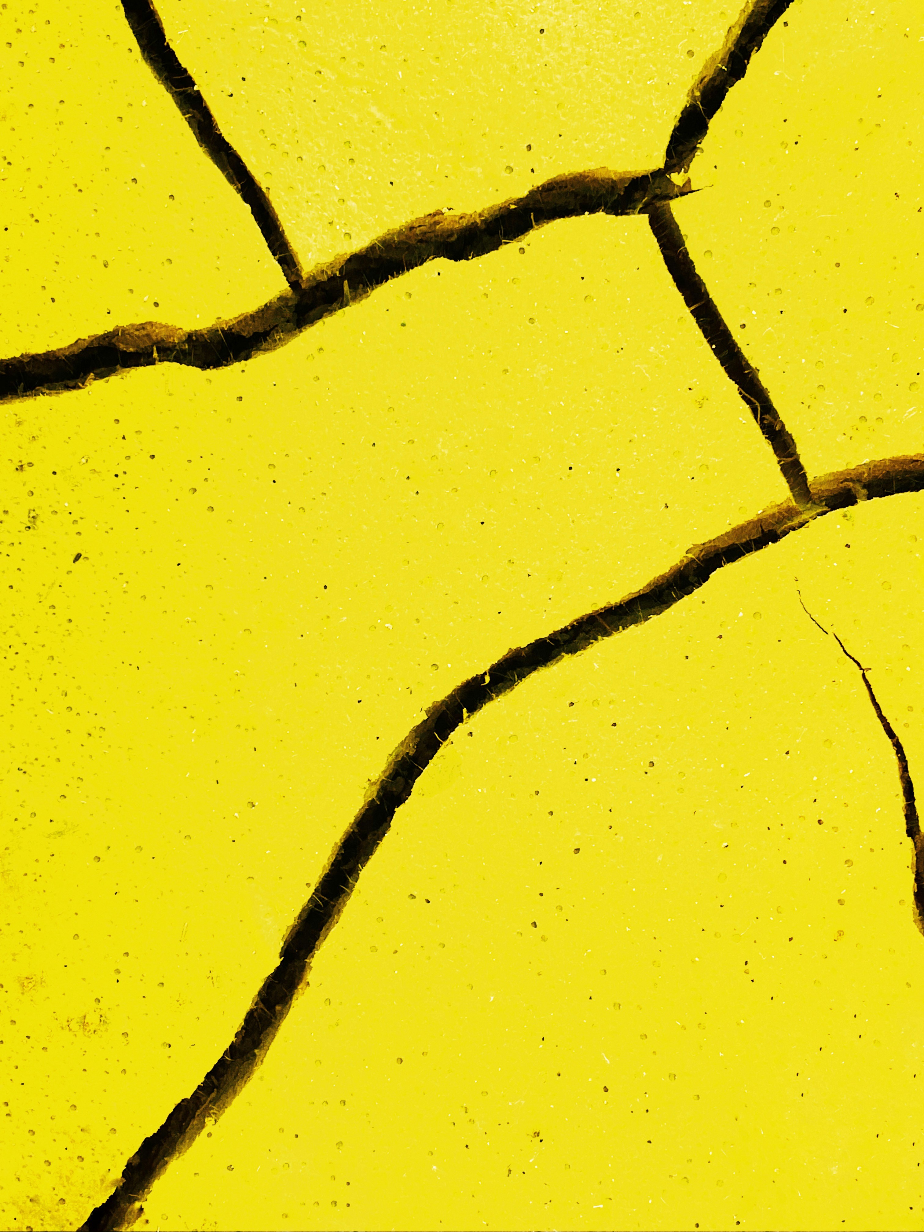 45,628+ Yellow Color Pictures | Download Free Images on Unsplash