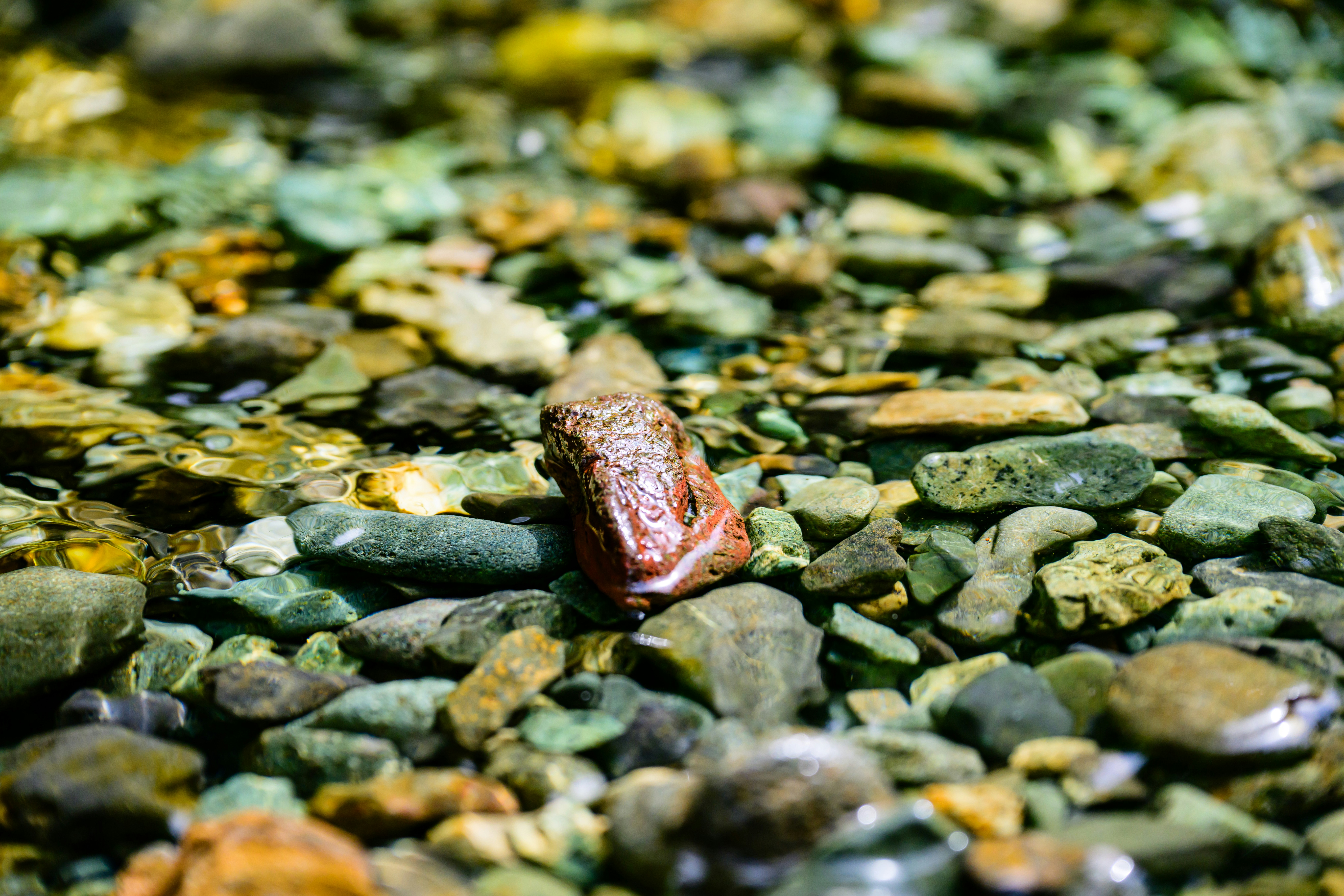 Pebble in the Riverbed: a close-up of a lone stone amid multicolored gravel