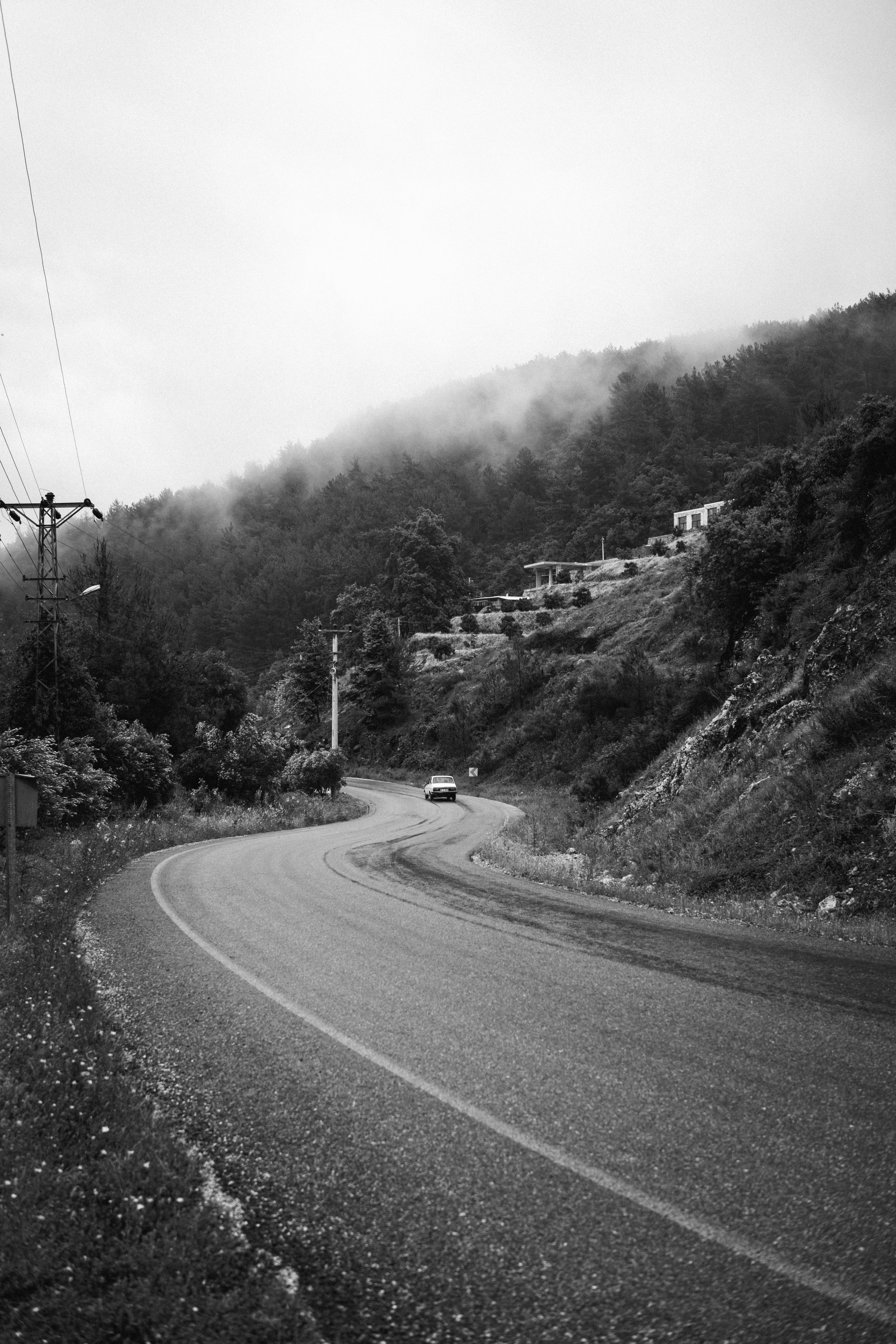 Mist-Clad Switchbacks: A Quiet Car Navigates a Mountain Road