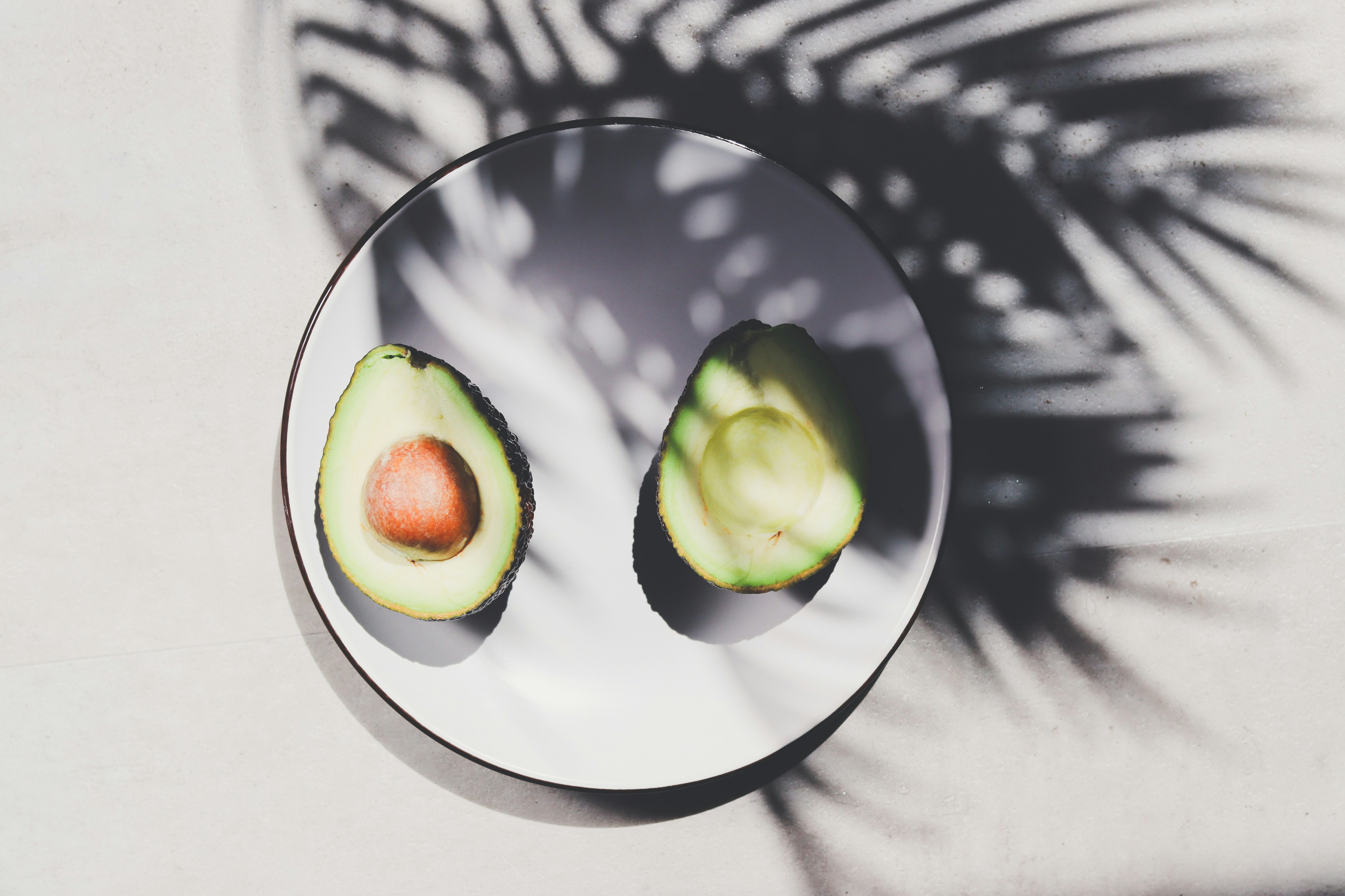 Two avocado halves on a plate with palm leaf shadows cast across the surface.