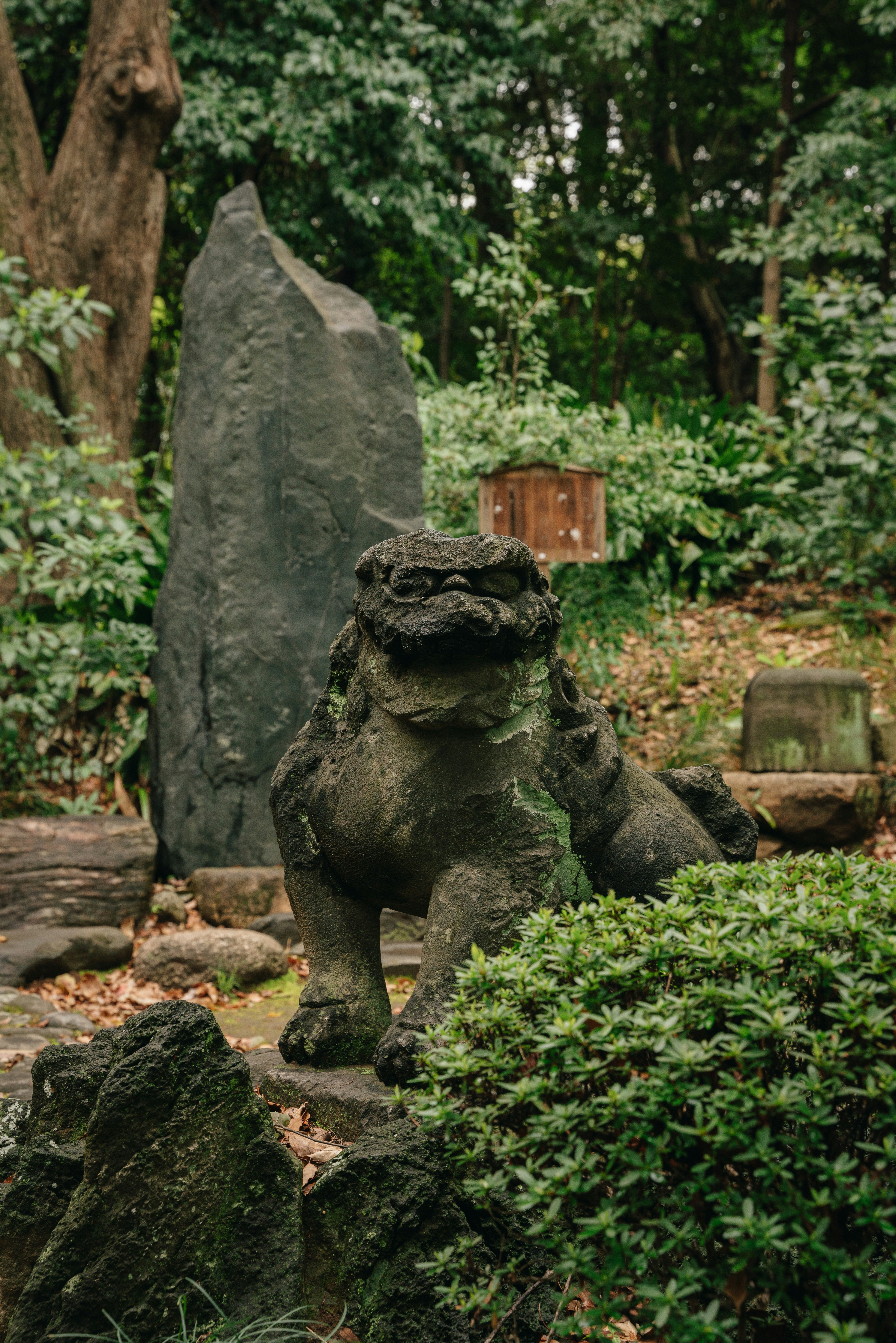 Garden Sentinel: A Moss-Cloaked Stone Lion Guards Quiet Fern-Grove