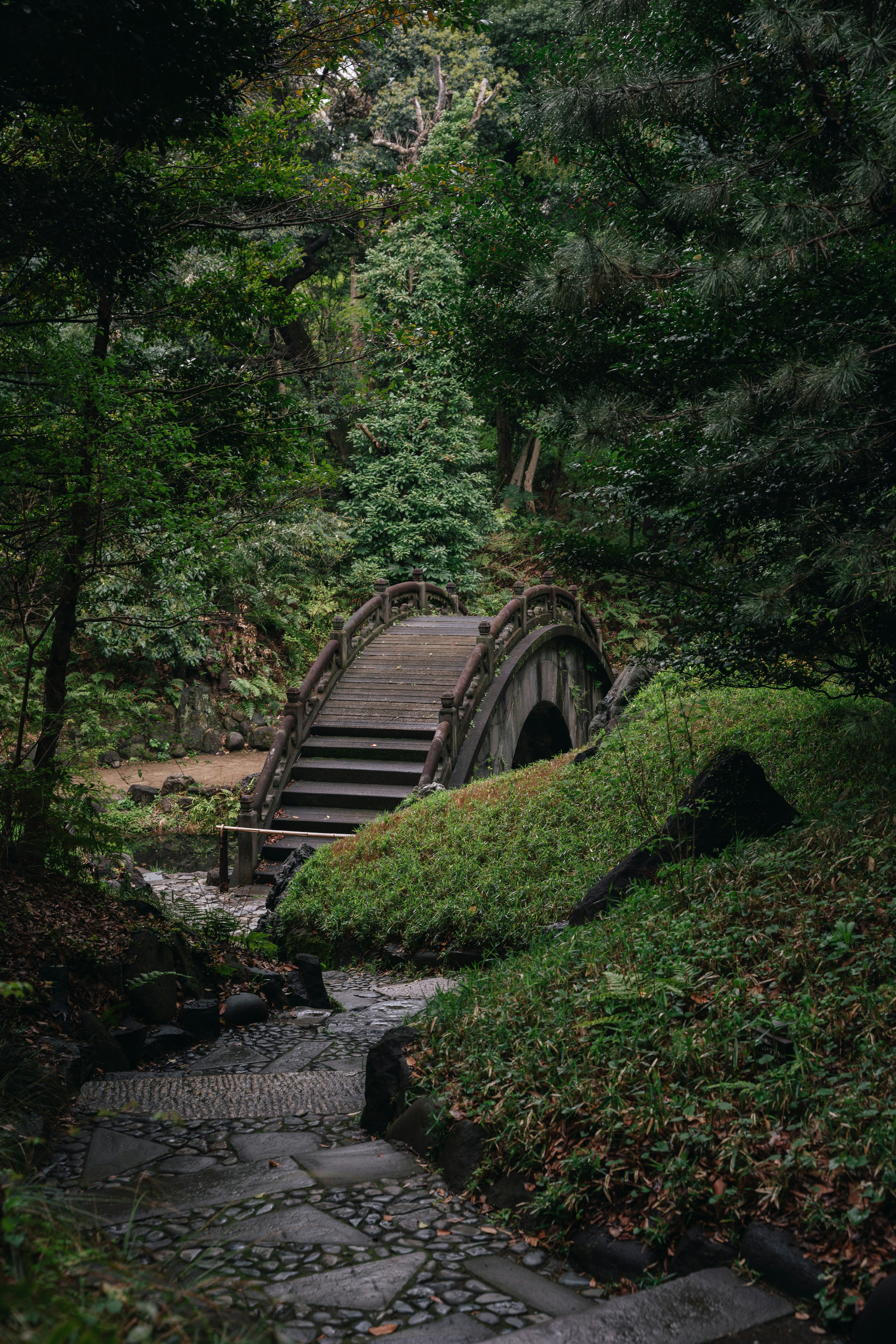 Emerald Veil: A Stone-arched Bridge Woven Through a Quiet Garden Path