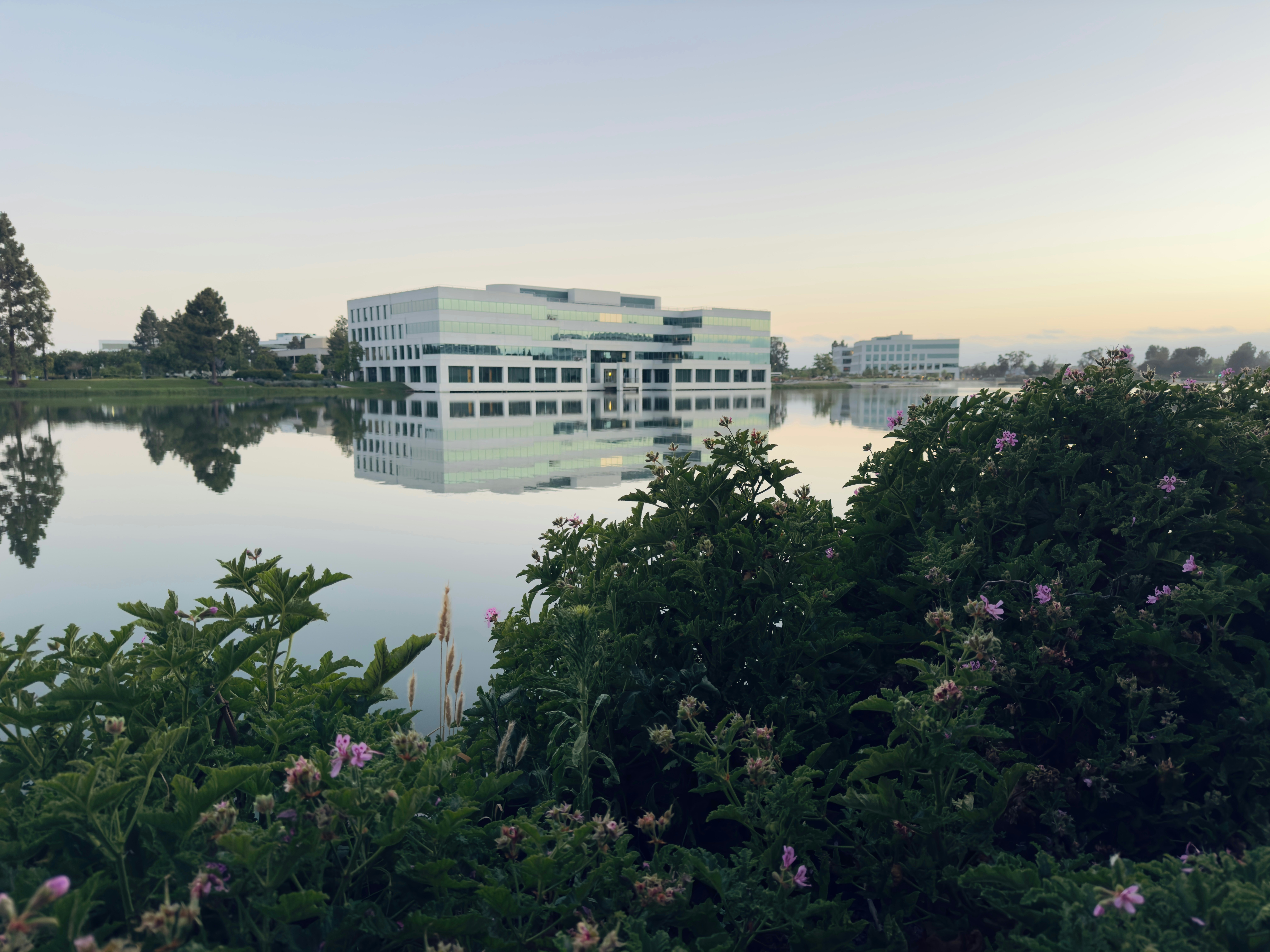 A large building sitting on top of a lake photo – Free Redwood shores ...