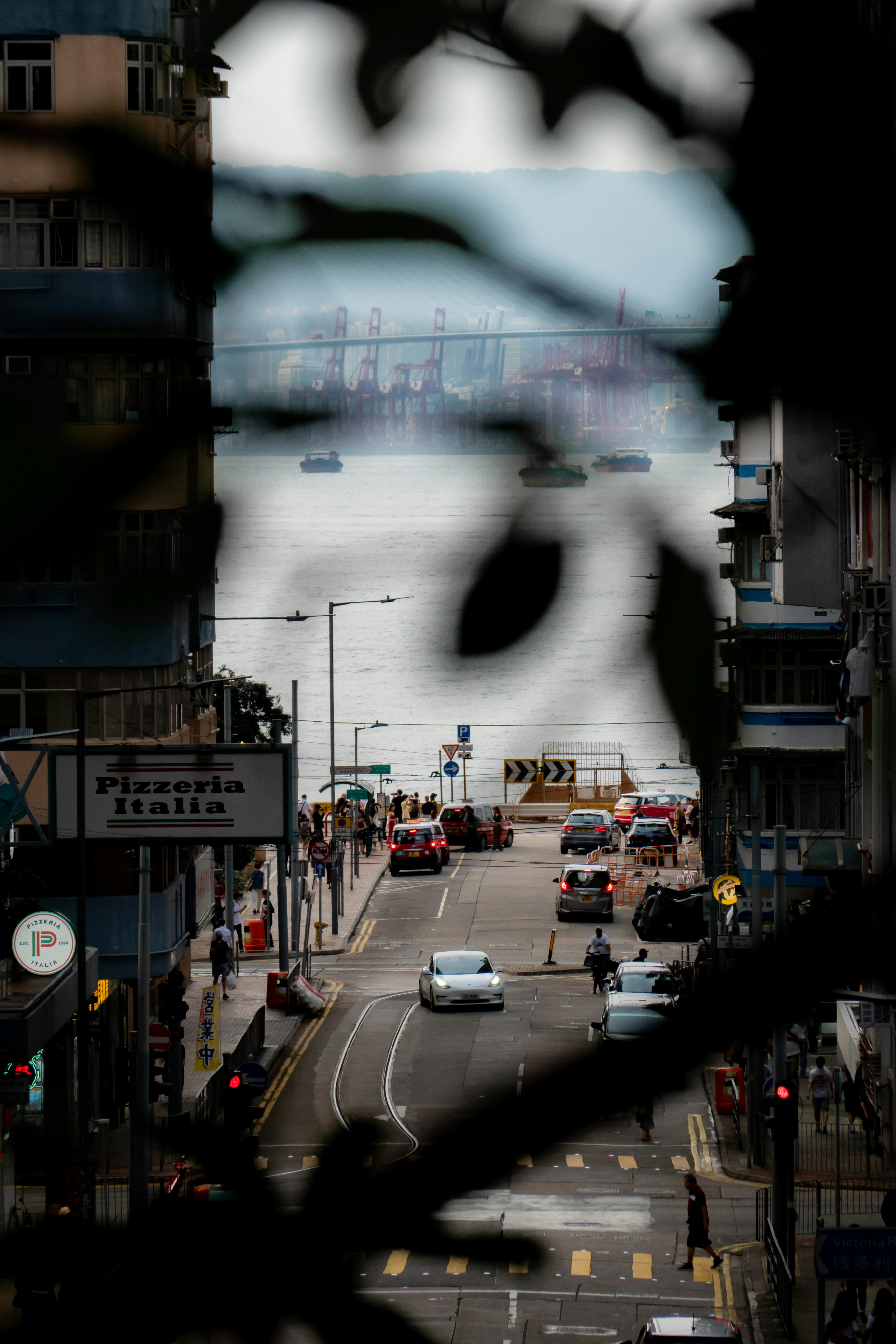 Harbor View Framed by Urban Canopies