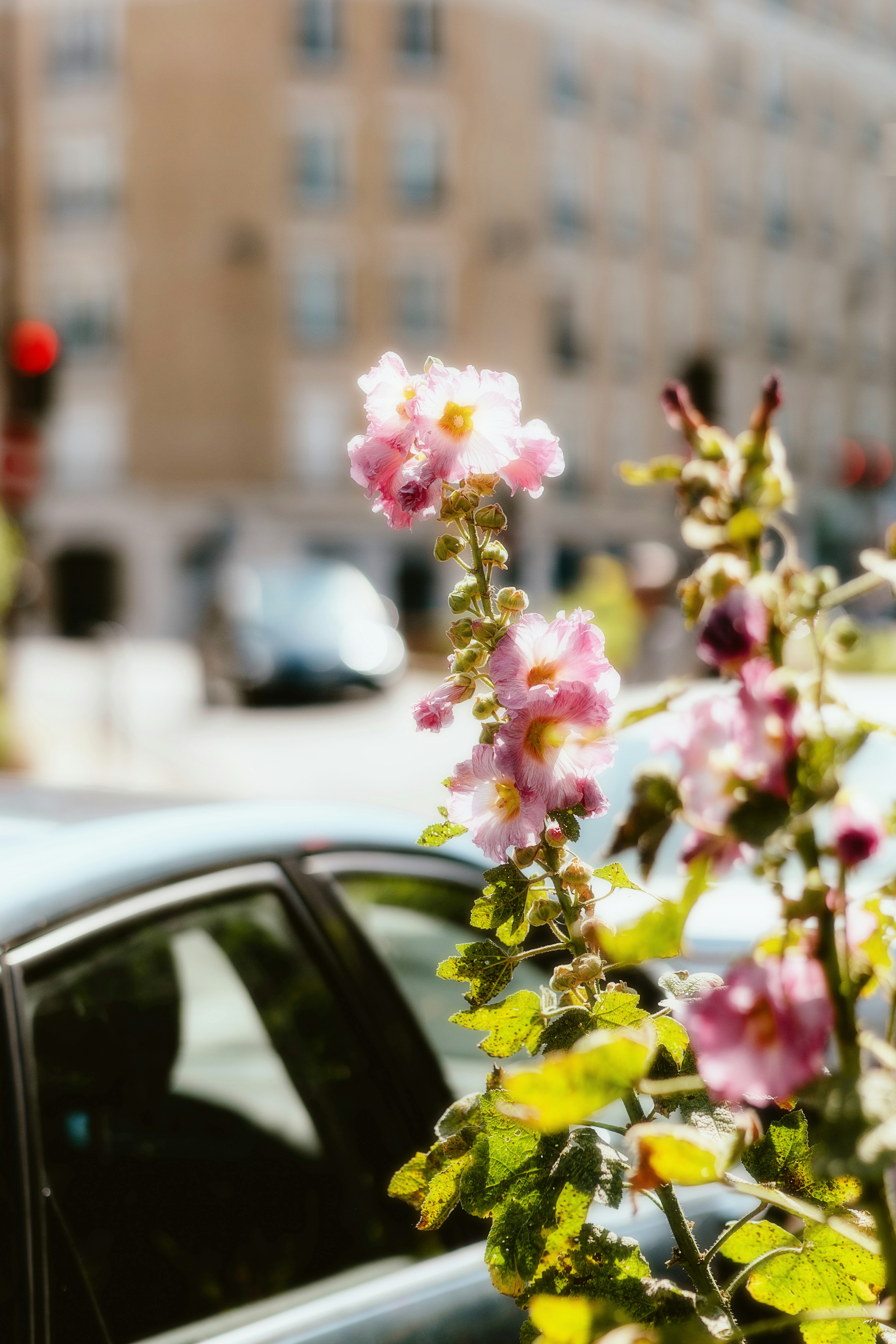 A car parked on the side of the road photo – Free Petal Image on Unsplash