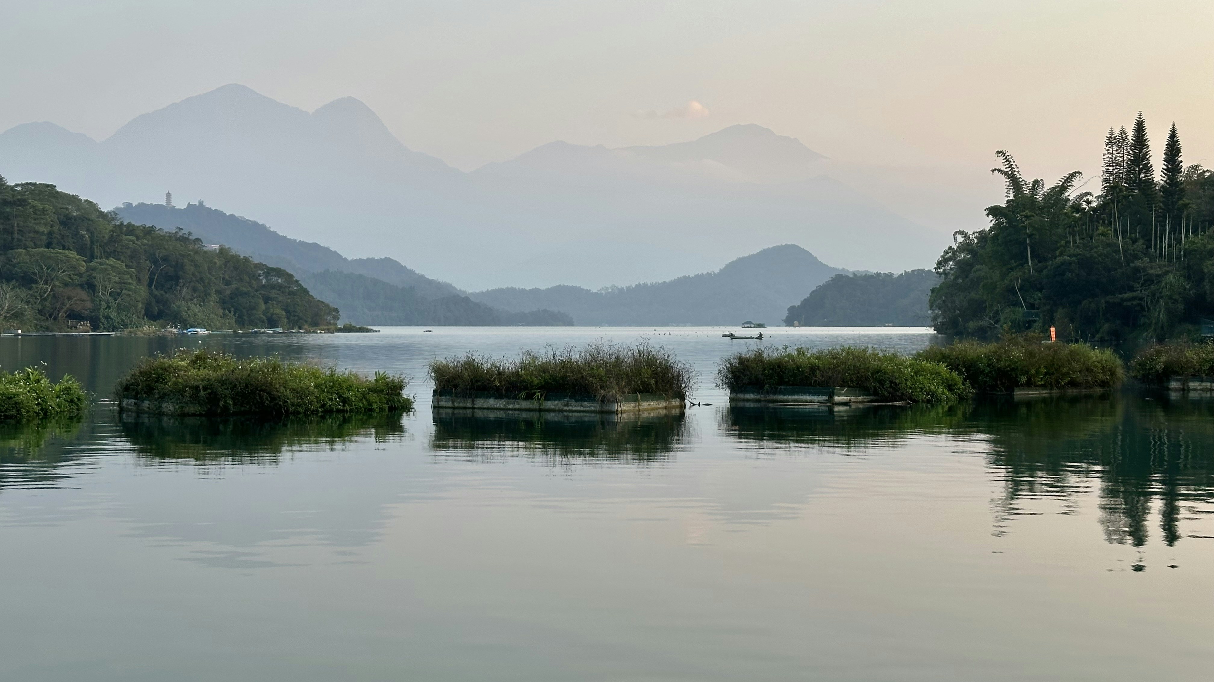 Serene lake with floating vegetation and distant misty mountains at sunrise.